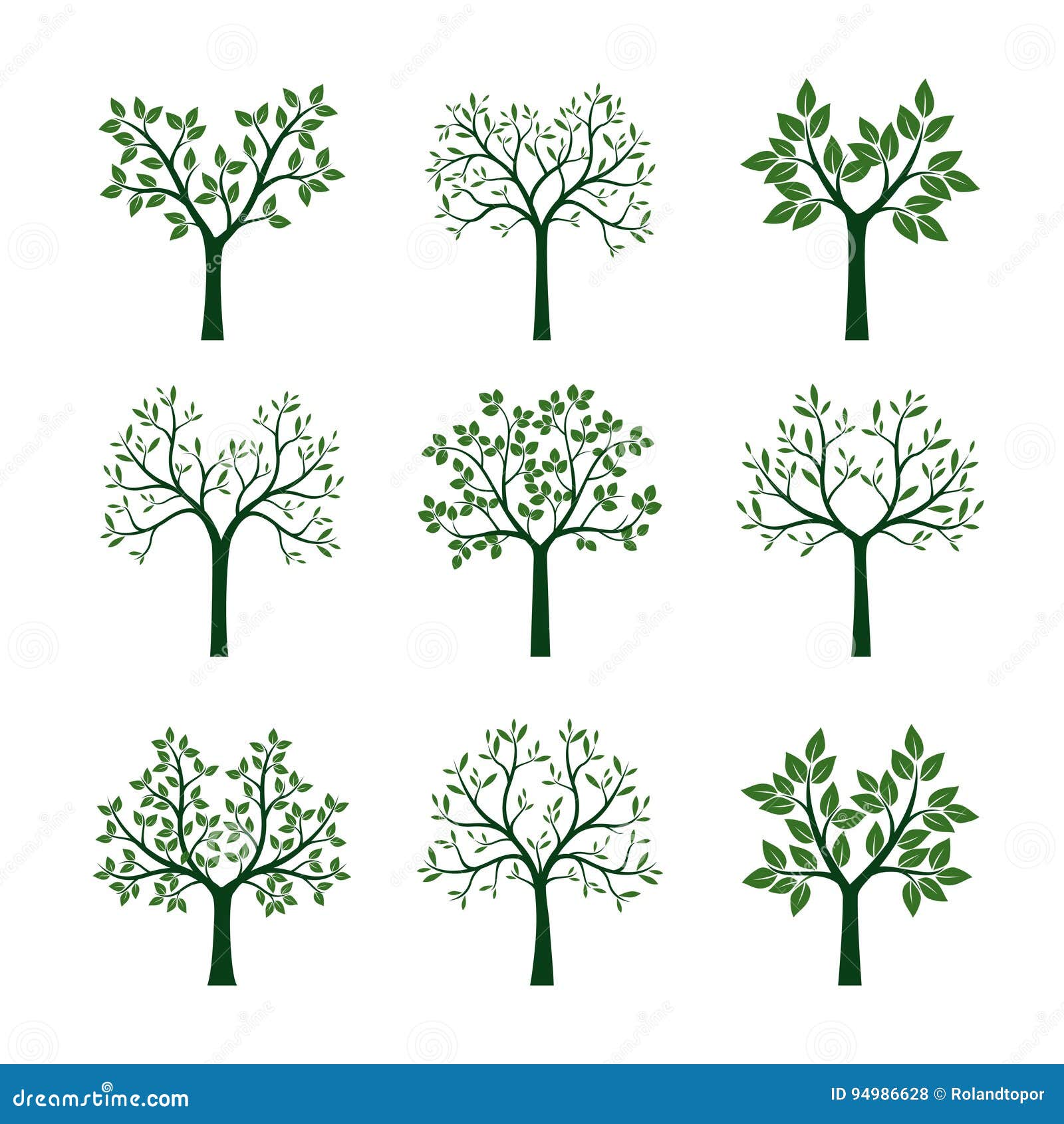 Set of Trees with Leaves. stock vector. Illustration of printing - 94986628
