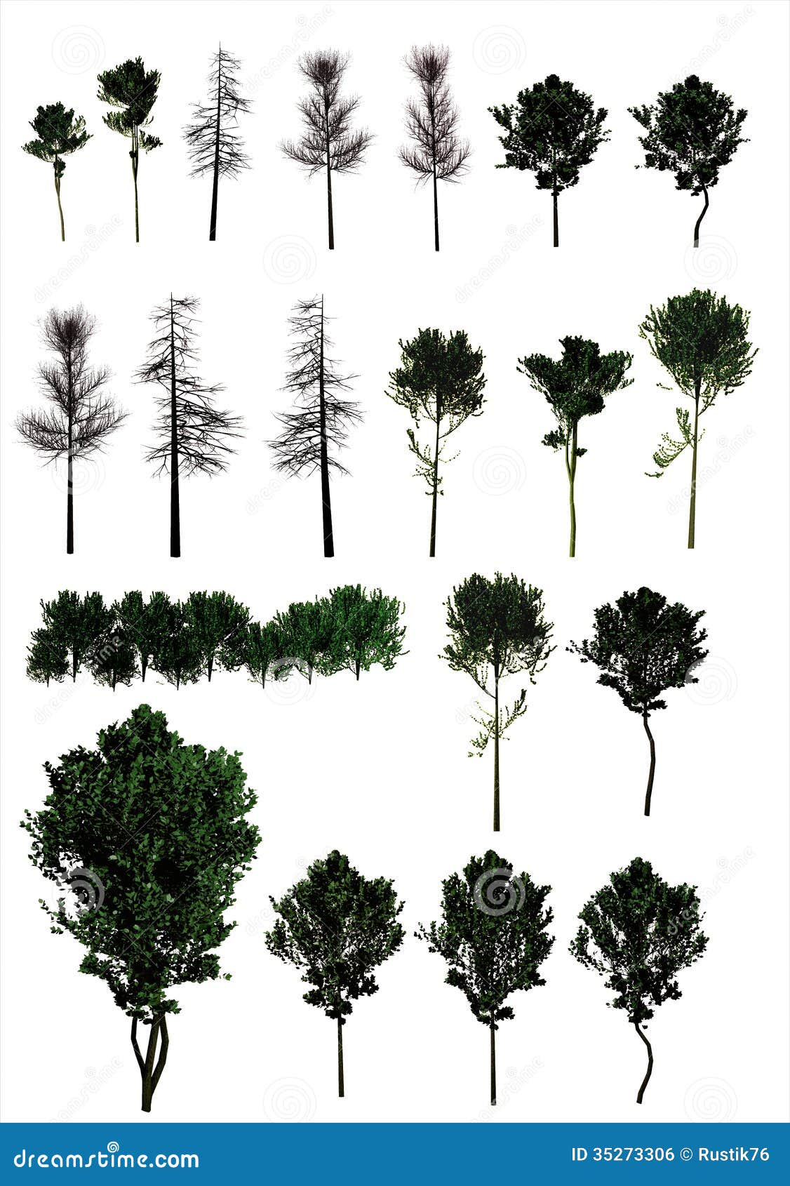 A set of trees. (PNG) stock photo. Illustration of design - 35273306