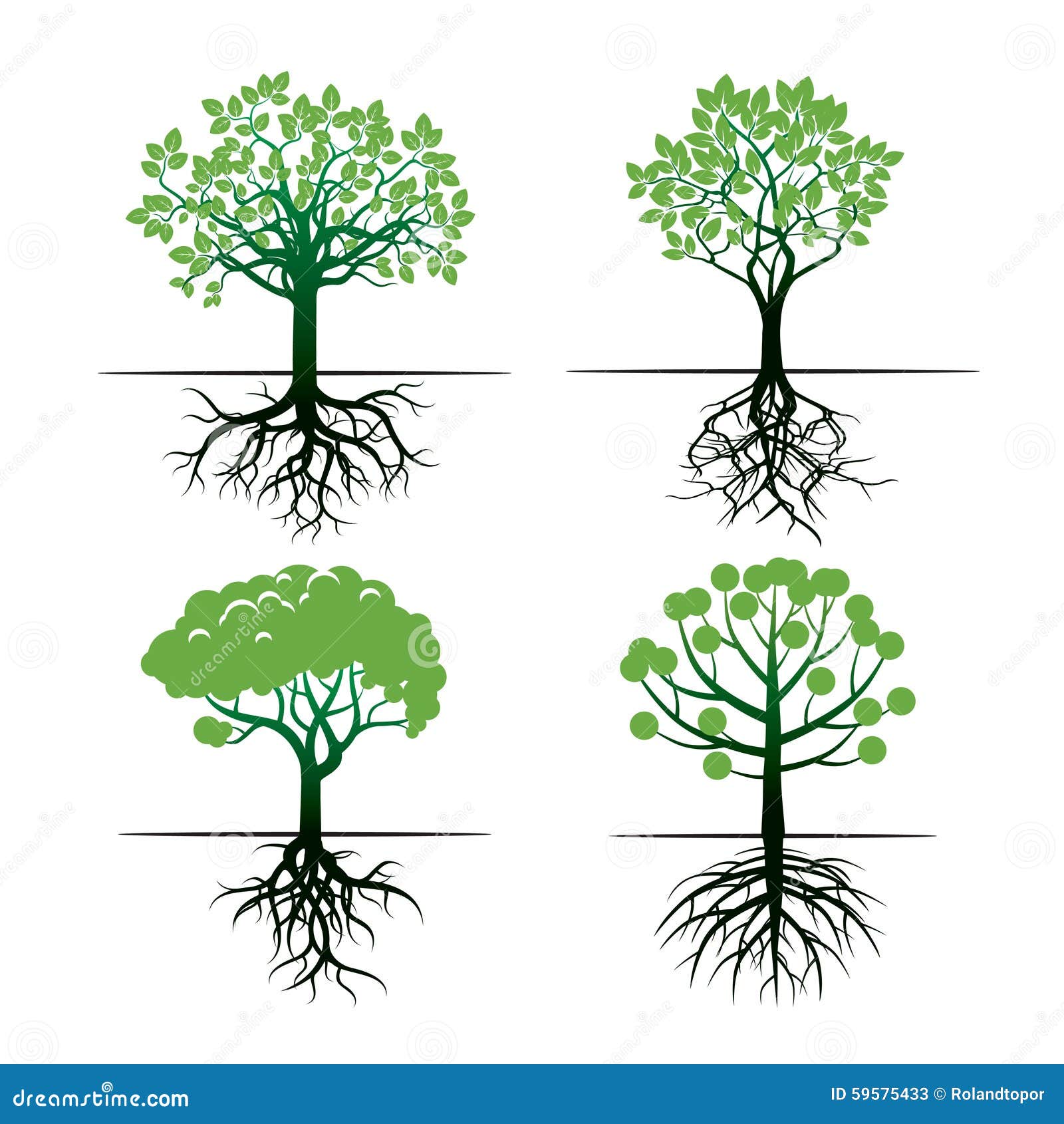 Set of Trees and Roots stock illustration. Illustration of biology ...