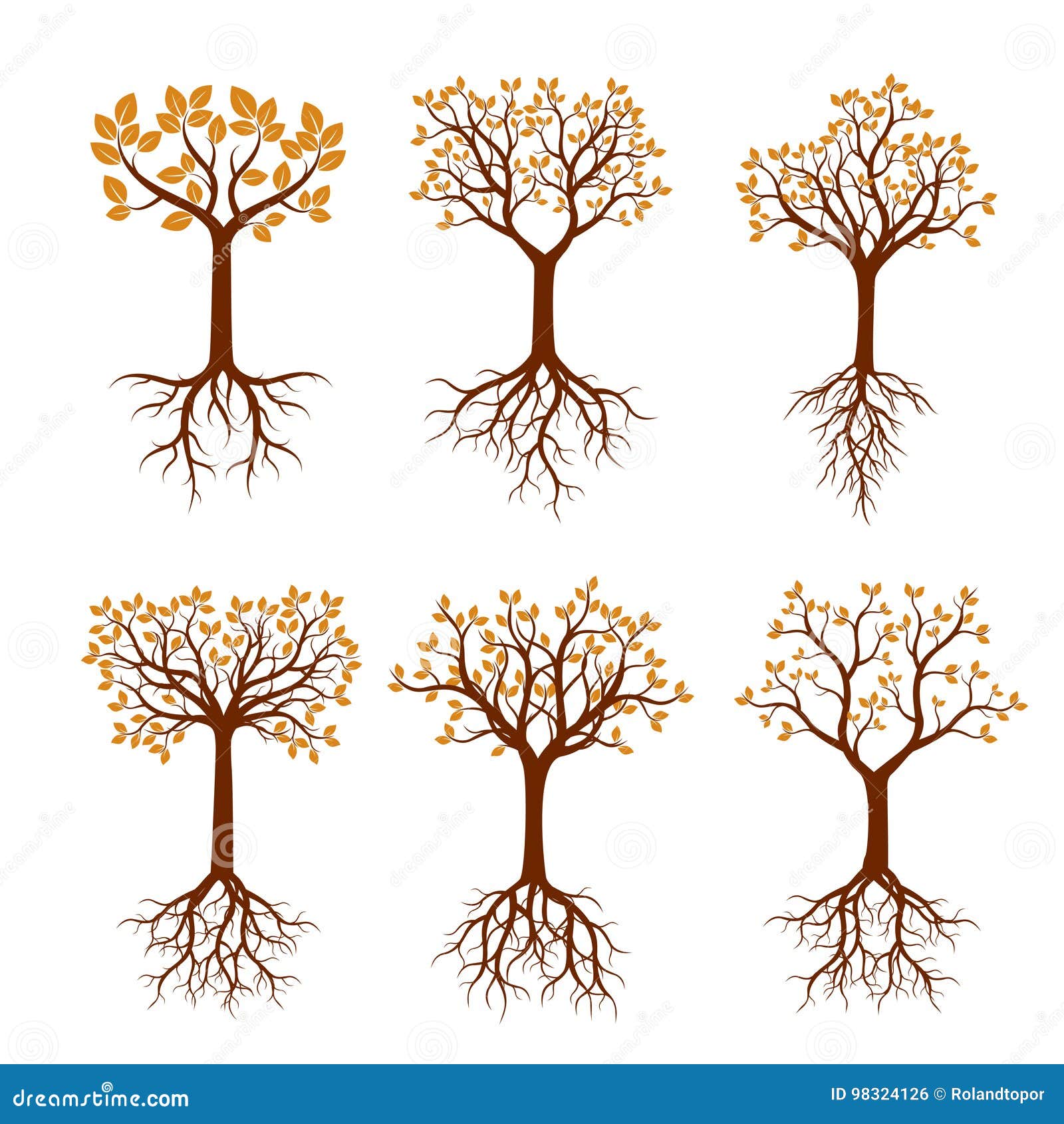 Set of Trees with Roots. Vector Illustration. Stock Illustration ...