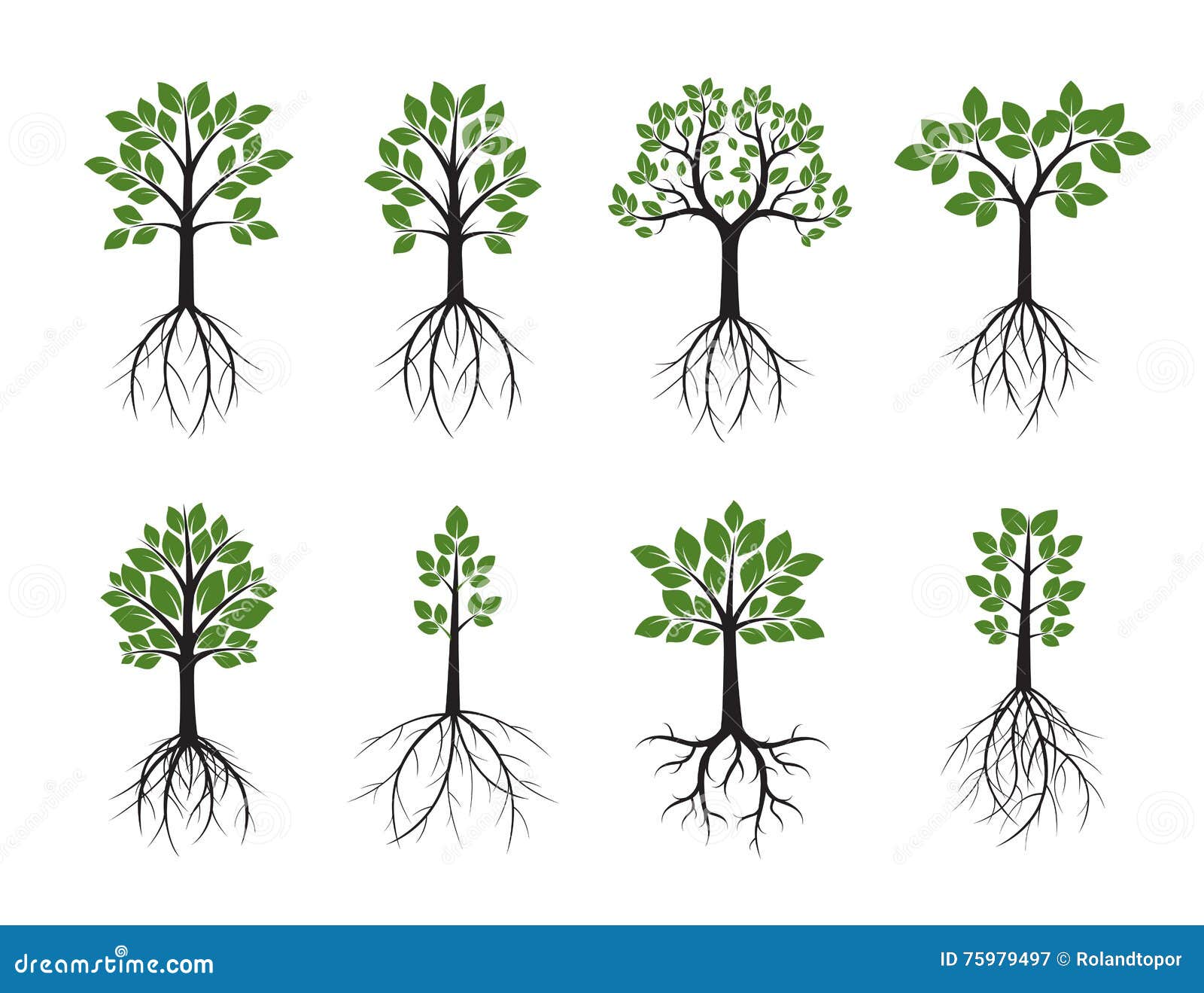 Set Trees and Roots. Vector Illustration. Stock Illustration ...