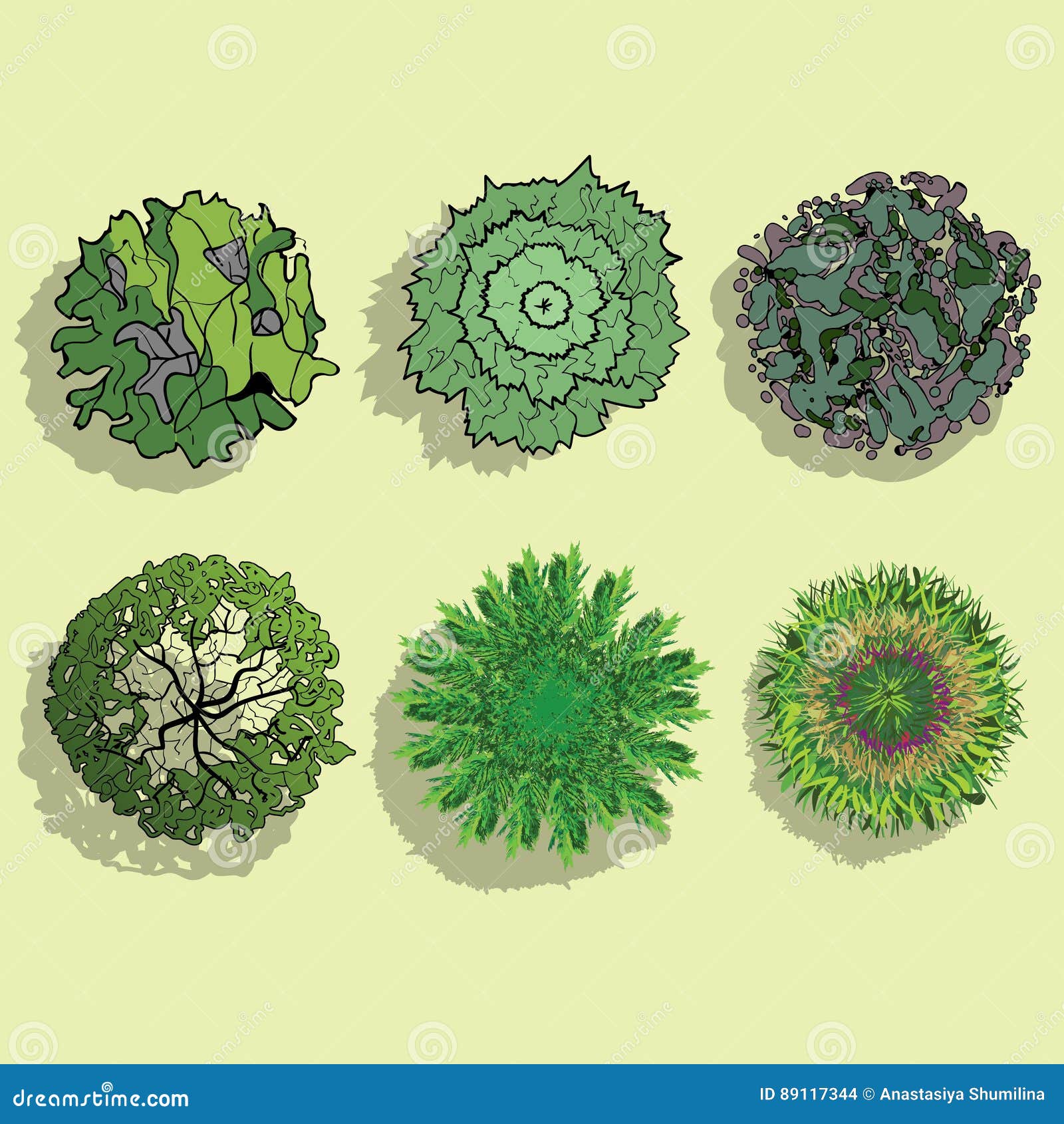 A set of Trees - top view. stock vector. Illustration of aerial - 89117344