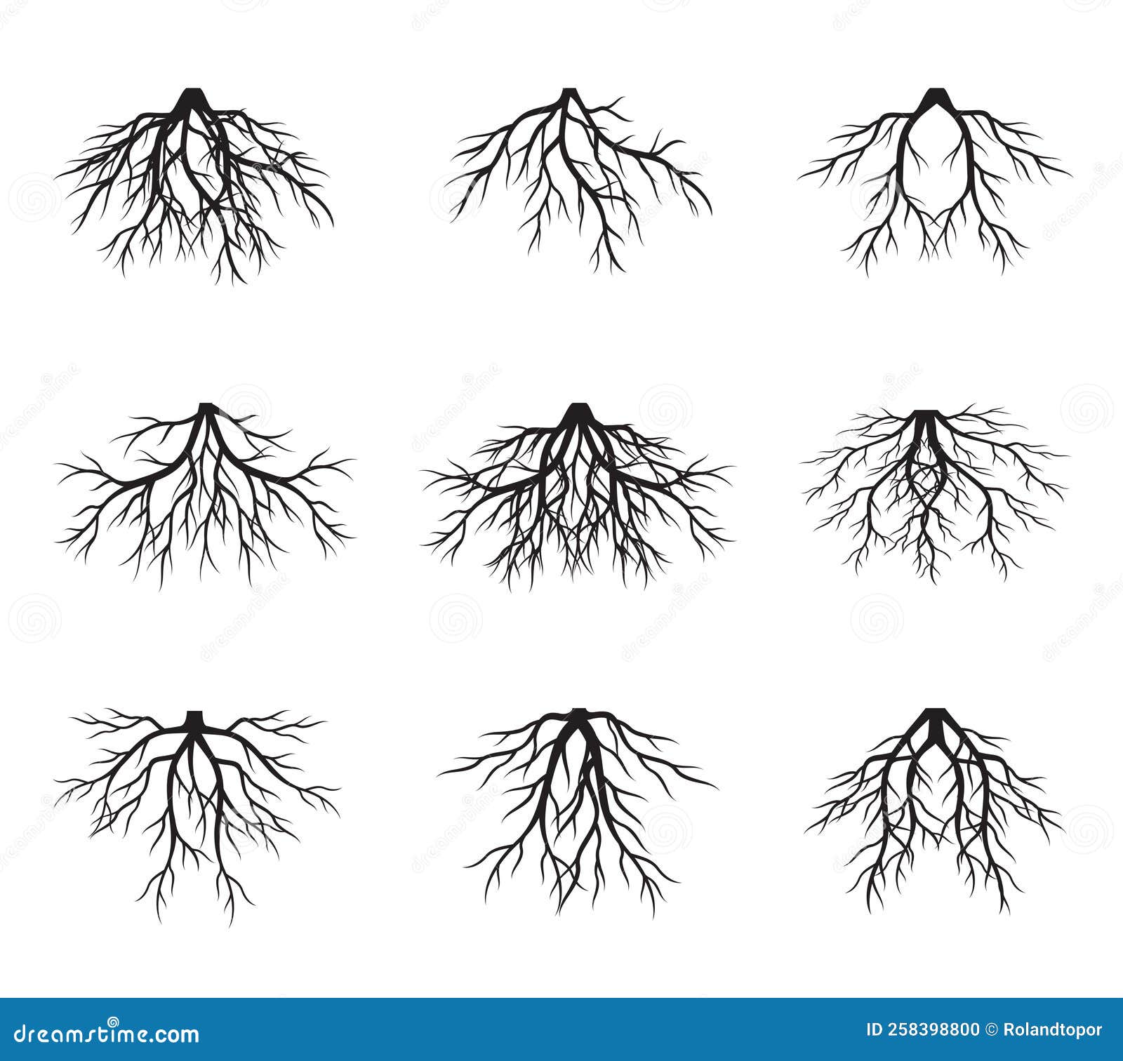 Set of Trees. Vector Outline Illustration. Plant in Garden Stock Vector ...