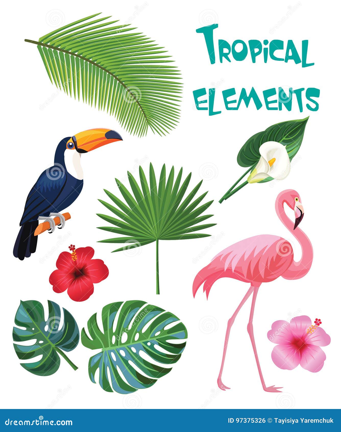 Set of tropical elements. stock illustration. Illustration of flowers - 97375326