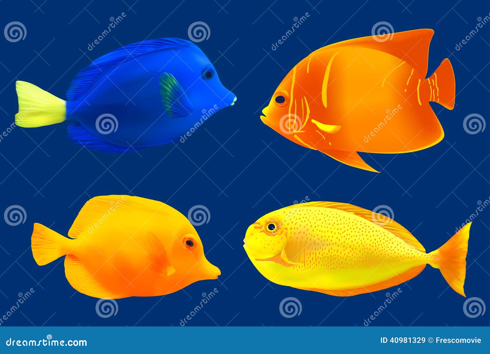 Set of tropical fish. stock vector. Illustration of marine - 40981329