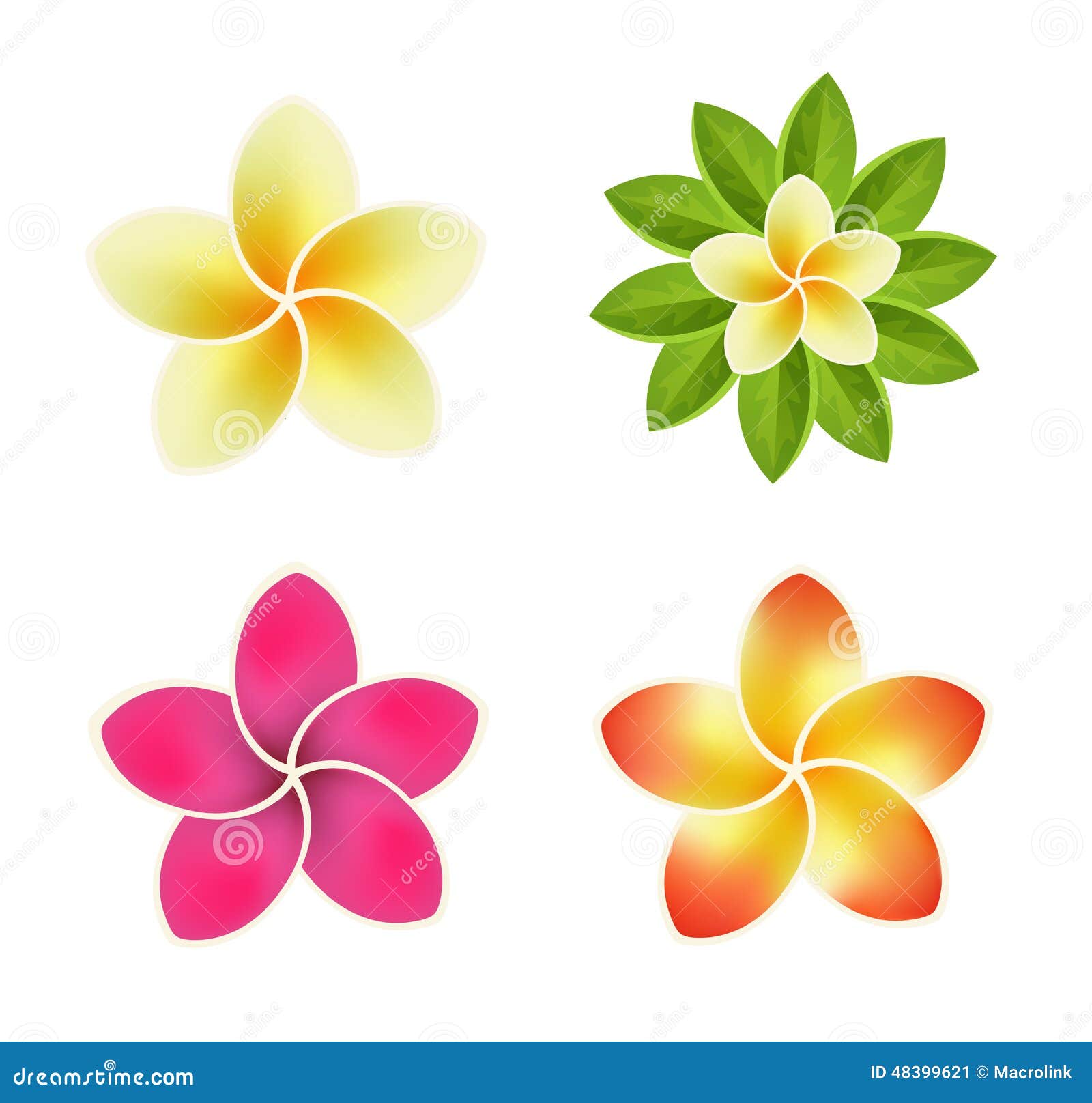 Set of Tropical Flowers stock vector. Illustration of frangipani - 48399621