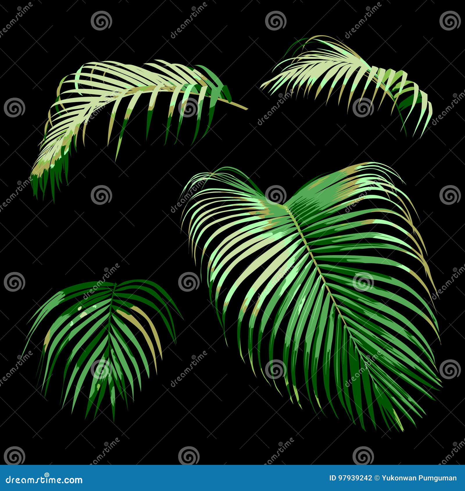 Set of Tropical Green Areca Palm Leaf, Plant Vector Illustration Stock ...