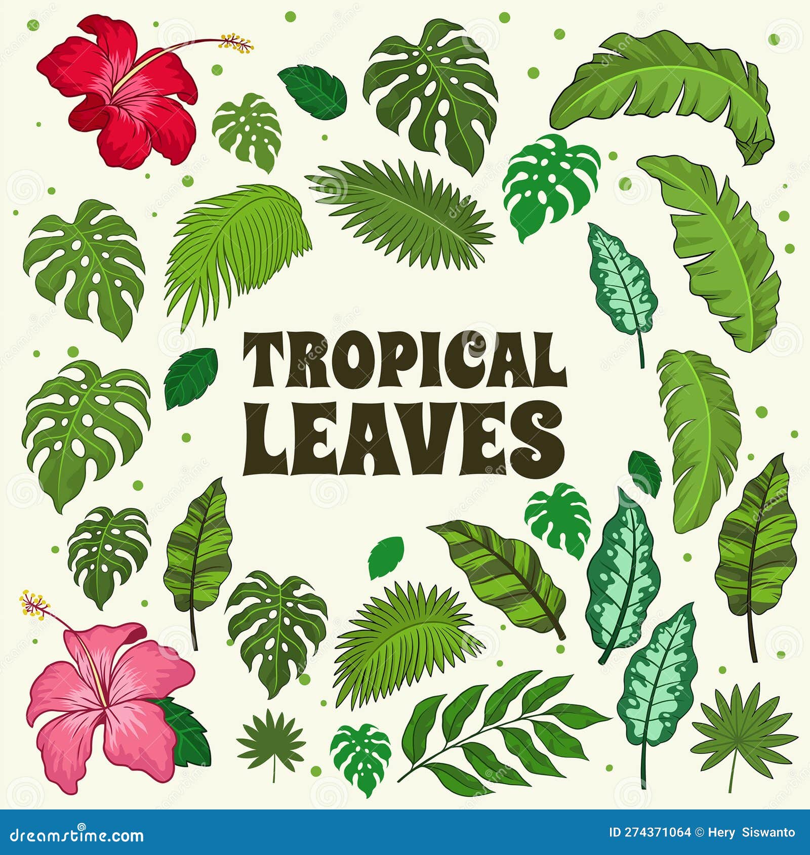 Set of Tropical Leaves Drawing Stock Vector - Illustration of ecology ...