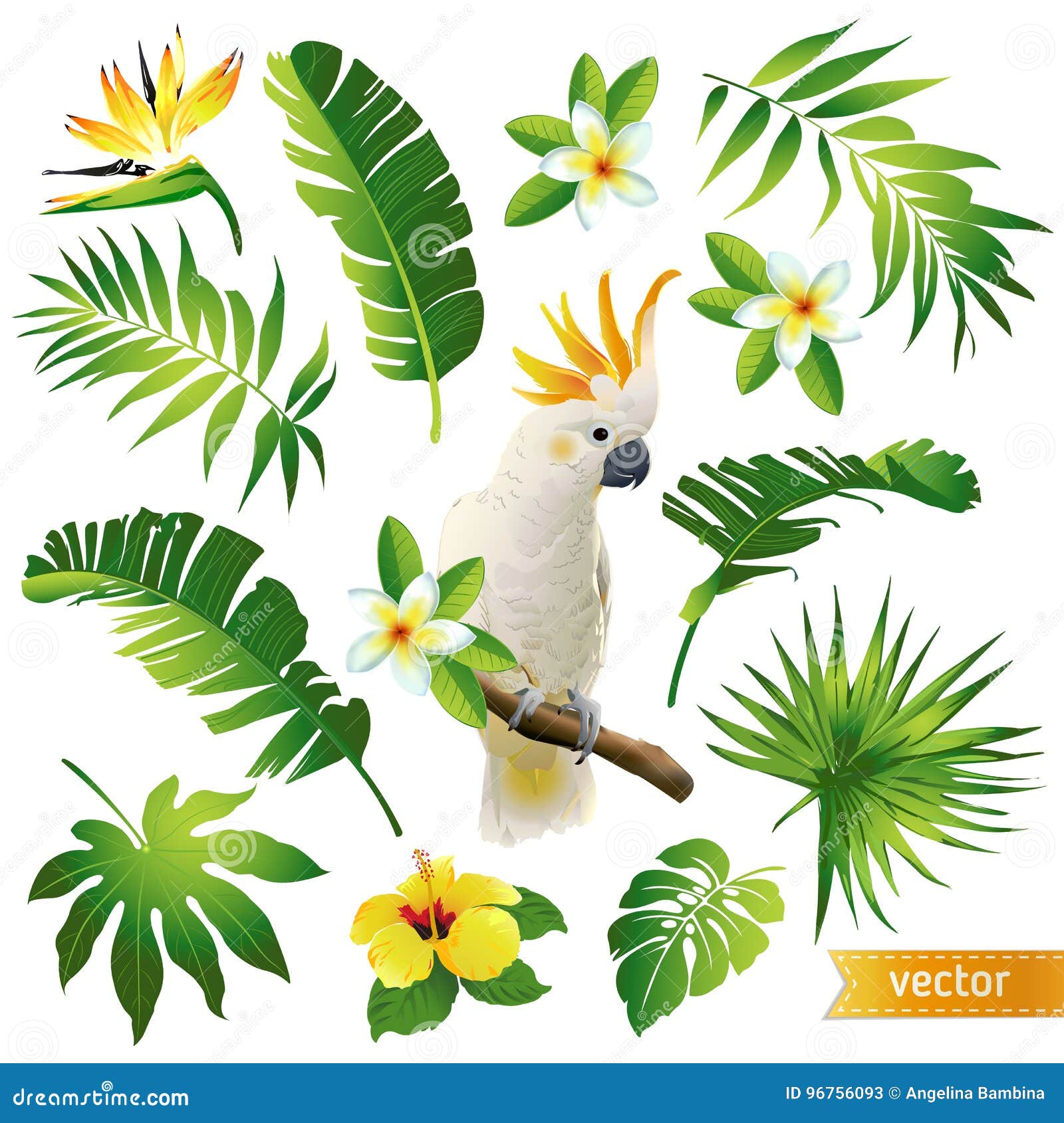 Tropical Birds. Hummingbirds Toucan Colored Parrot Exotic Birds Zoo ...