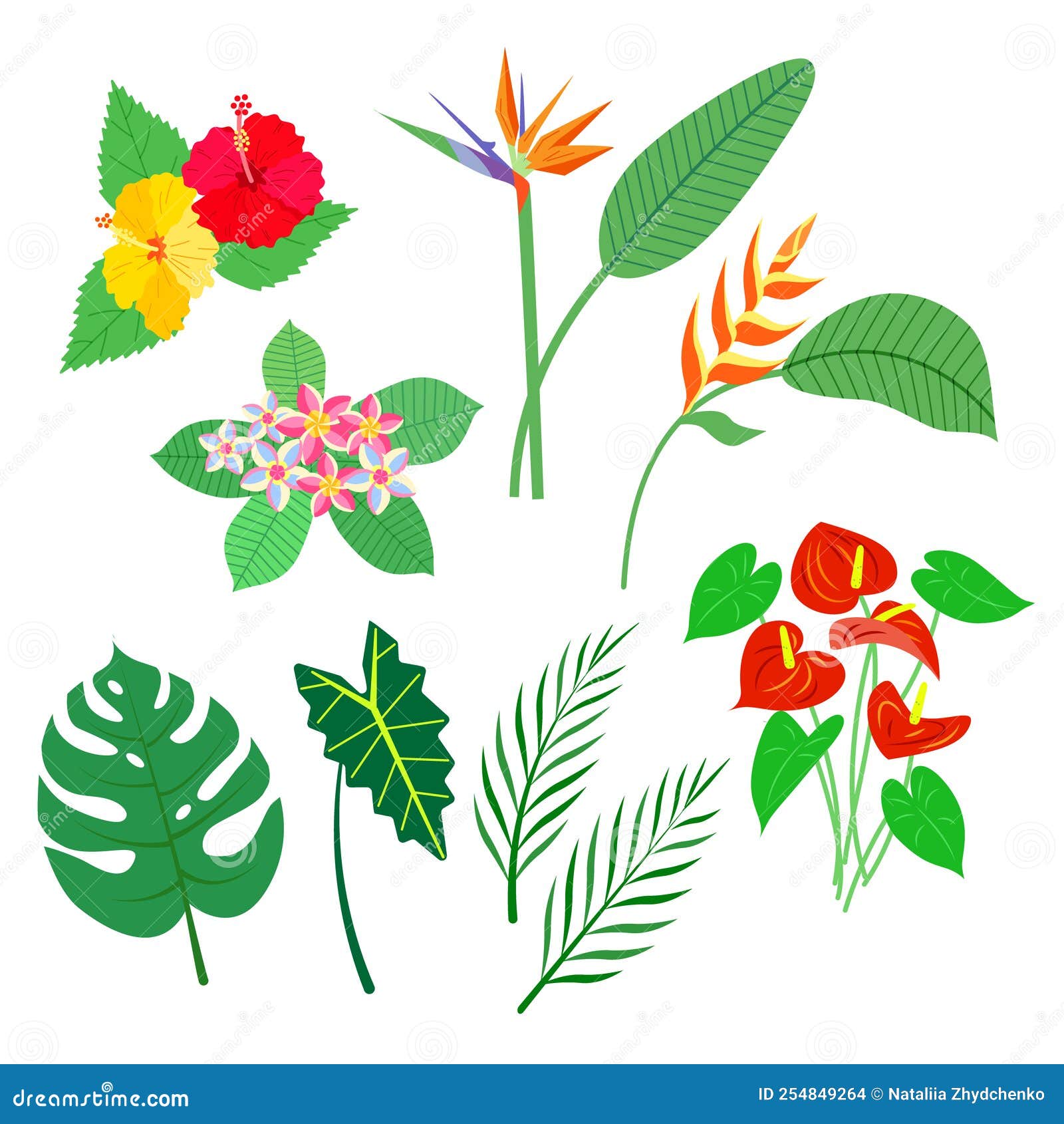 Set of tropical plants stock vector. Illustration of jungle - 254849264