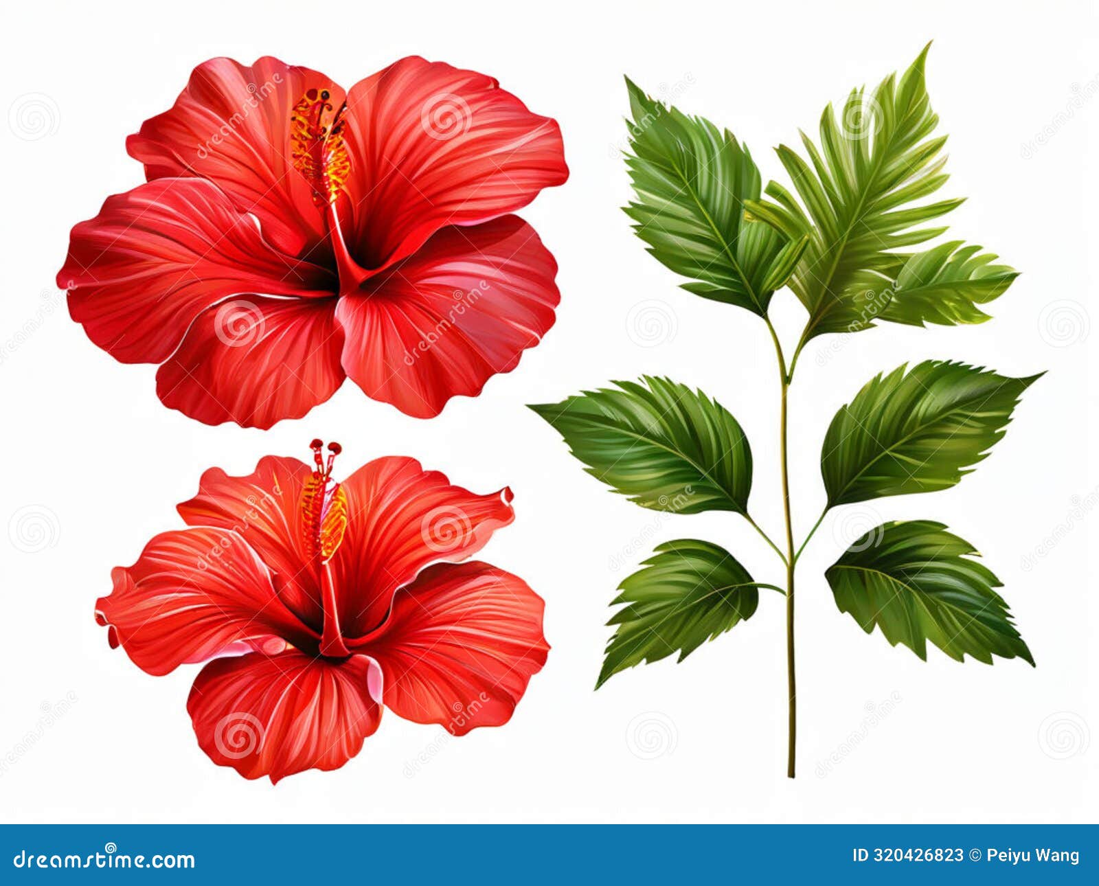 Set Of Tropical Red Hibiscus Flowers Isolated On Background Generative