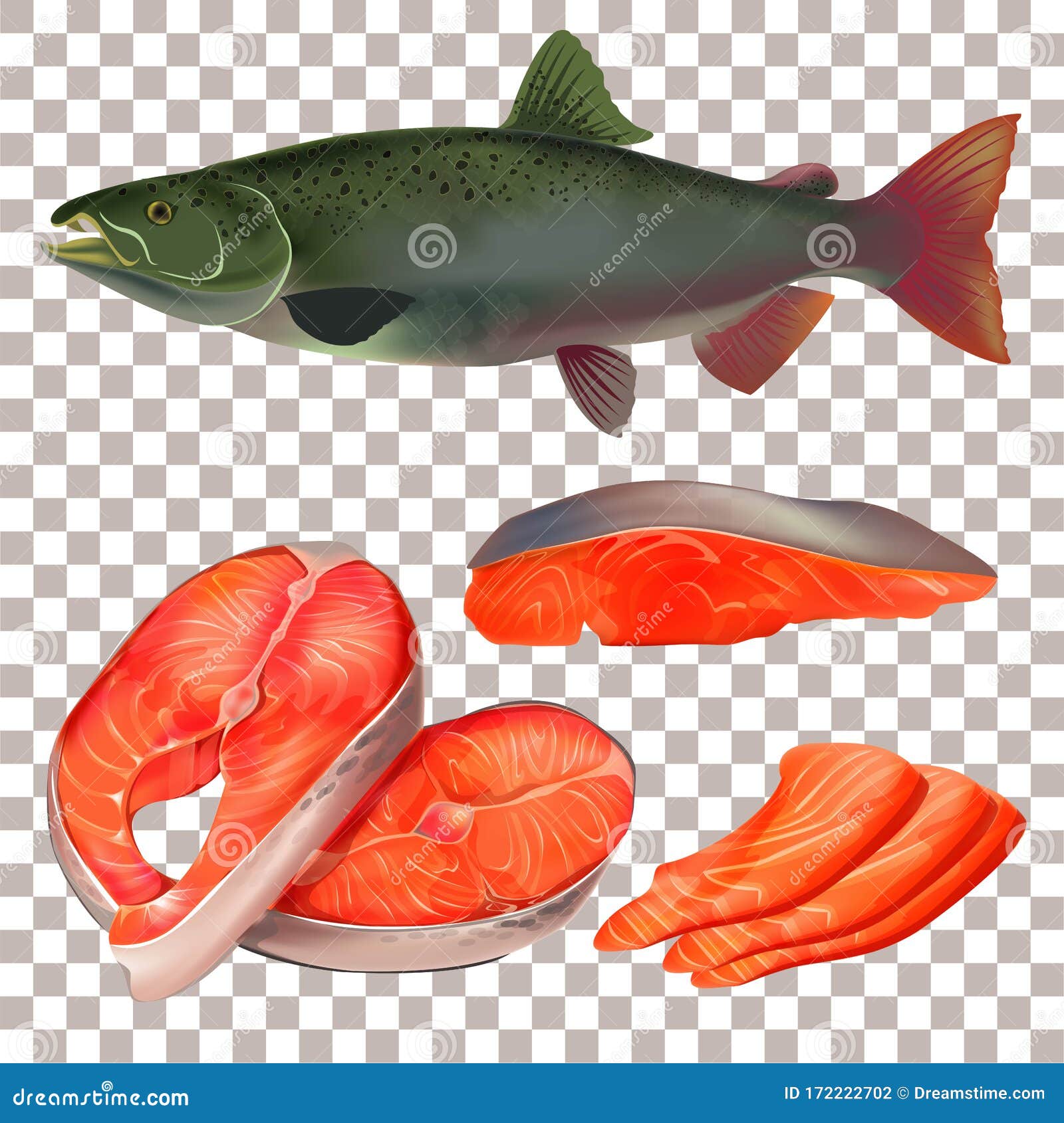 Set of Trout Fish Fillets on a Transparent Background. Vector Stock ...
