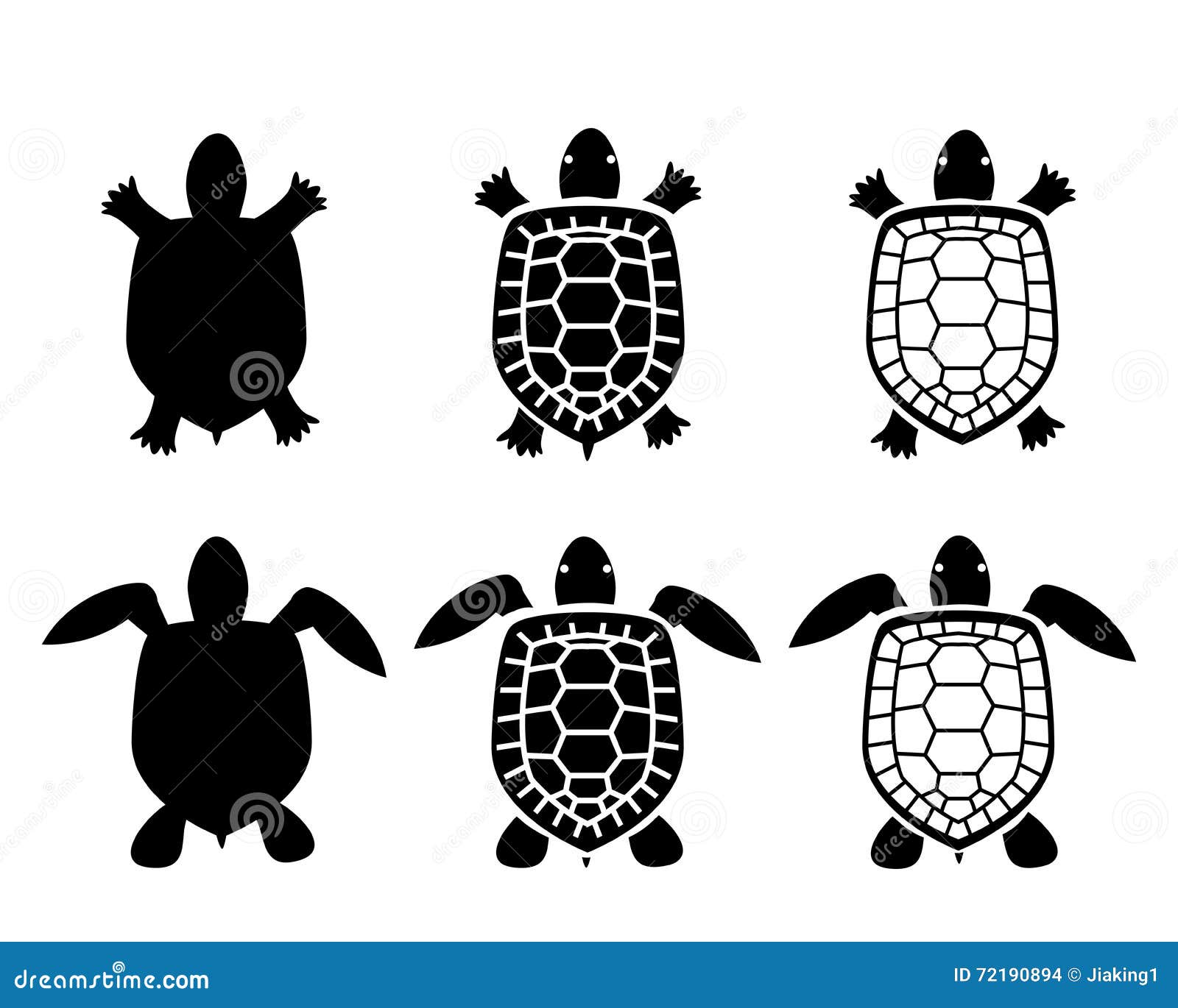 Turtle Top View, Carapace, Crawling, Sketch, Vector | CartoonDealer.com ...