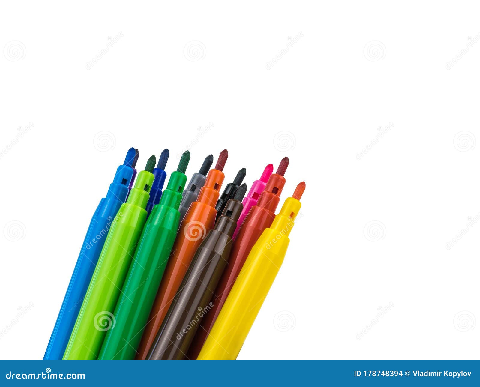 A Set of Twelve Multi-colored Markers Isolated on a White Background ...