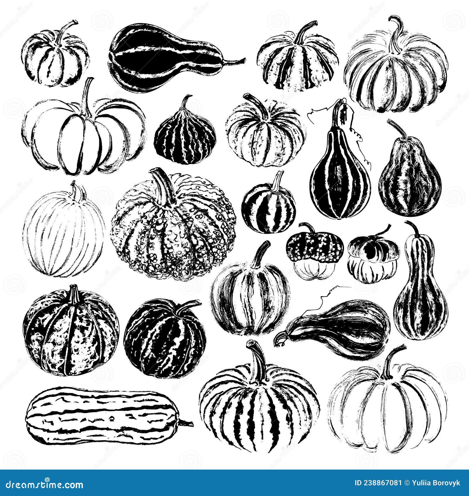 Set of Twenty Two Pumpkins. Brush Texture. Isolated on White Stock ...