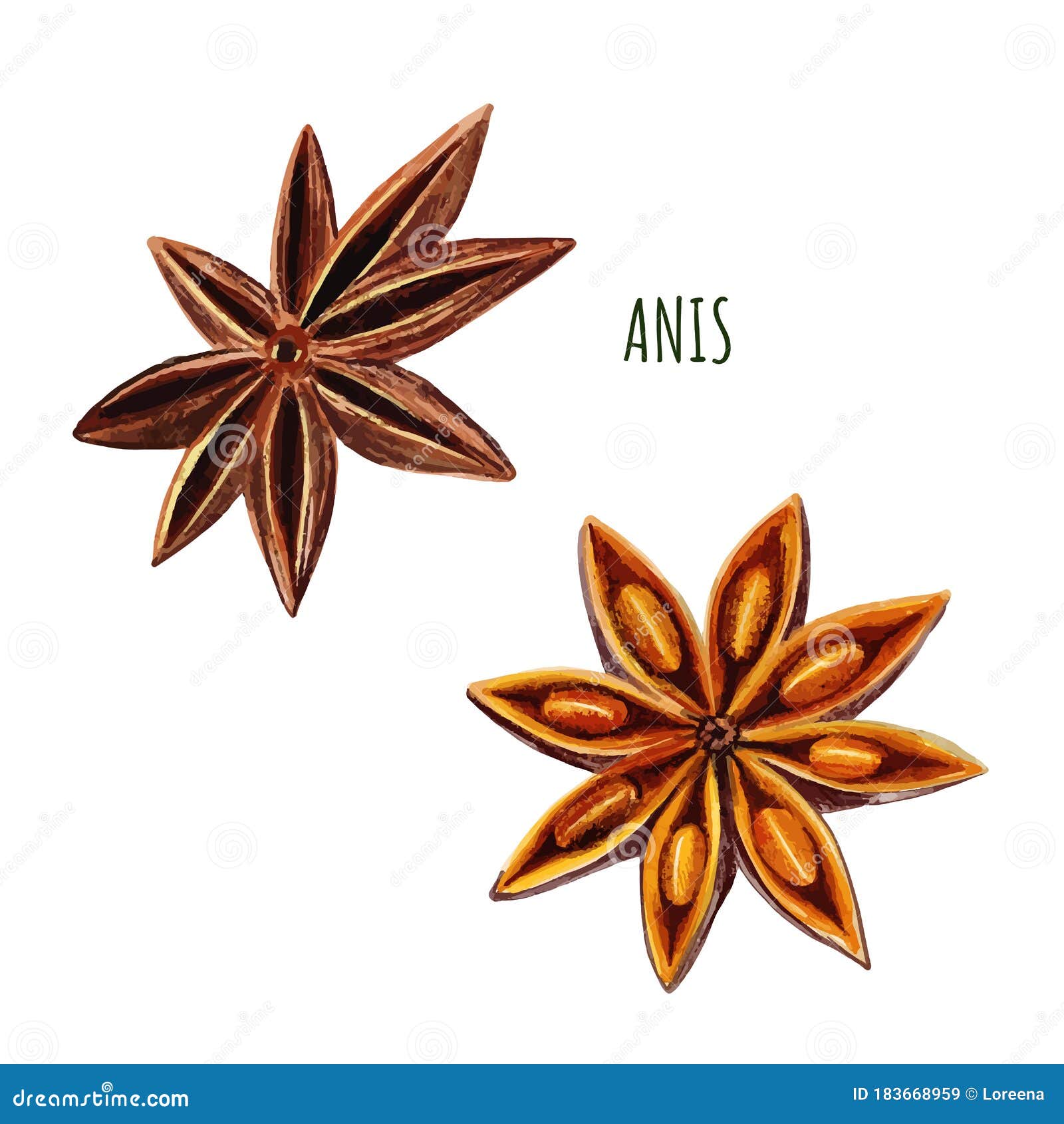 Anis Stars Stock Illustrations – 31 Anis Stars Stock Illustrations ...