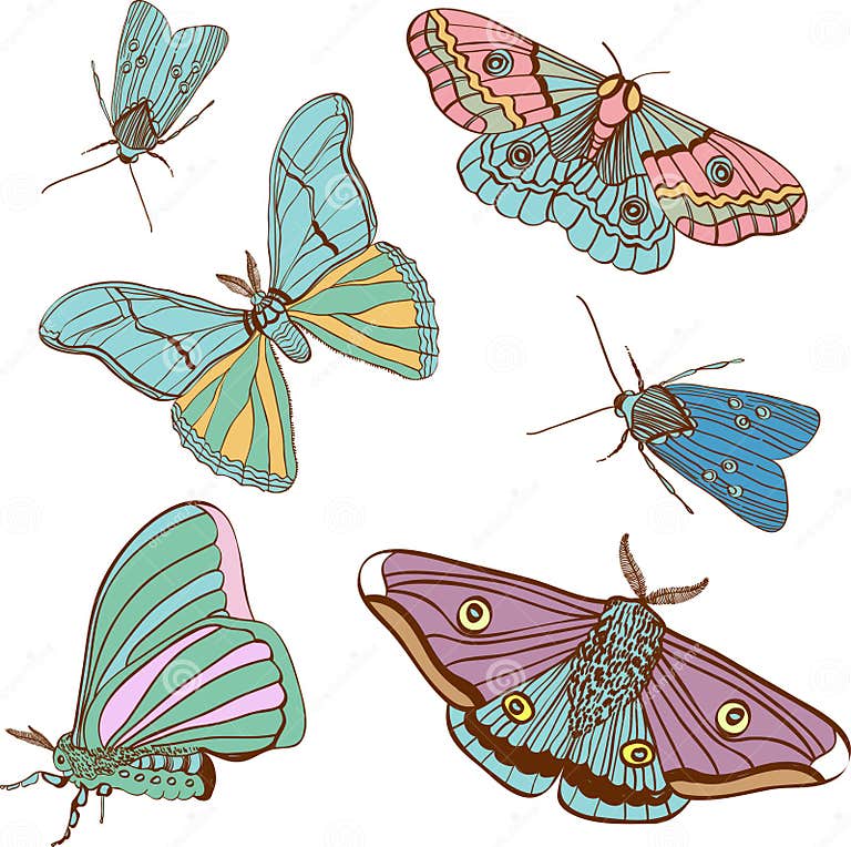 Set of two cute color moth stock vector. Illustration of decorative ...