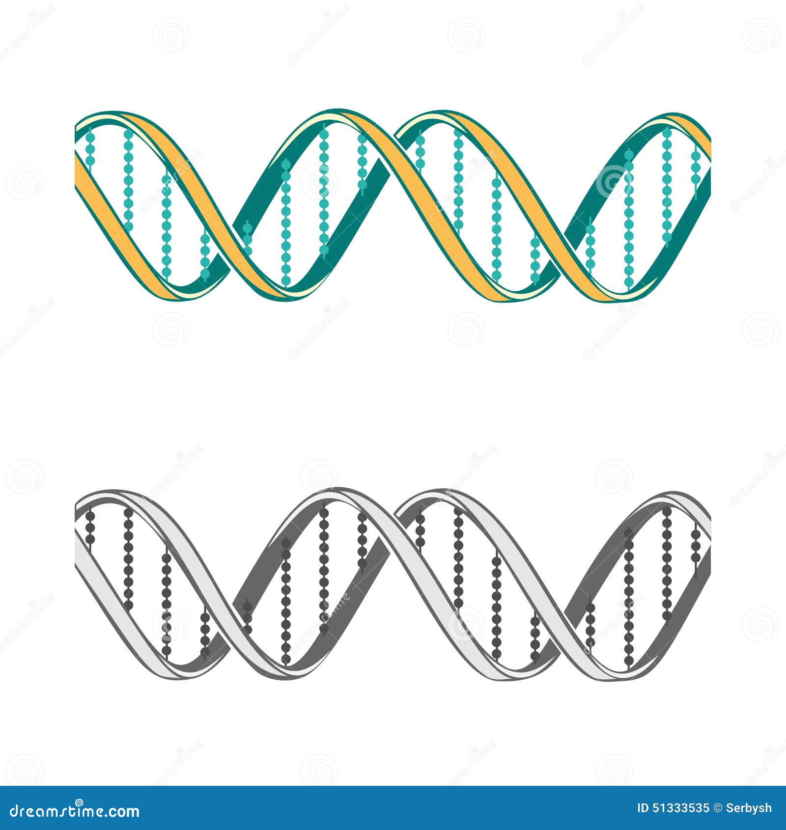 Set of Two DNA Symbols on White Background Stock Vector - Illustration ...