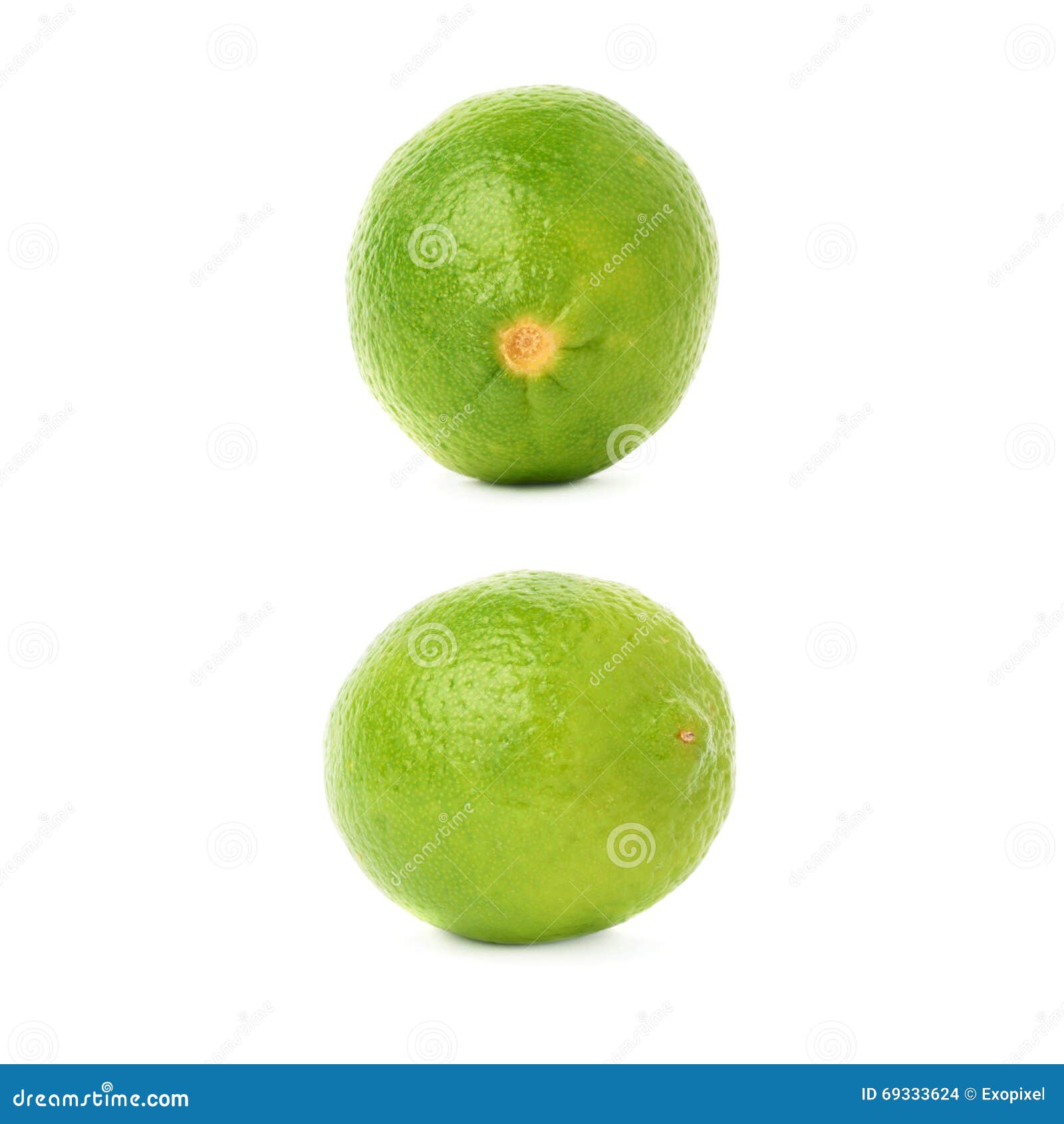 Set of Two Single Limes in Different Compositions and Foreshortenings ...