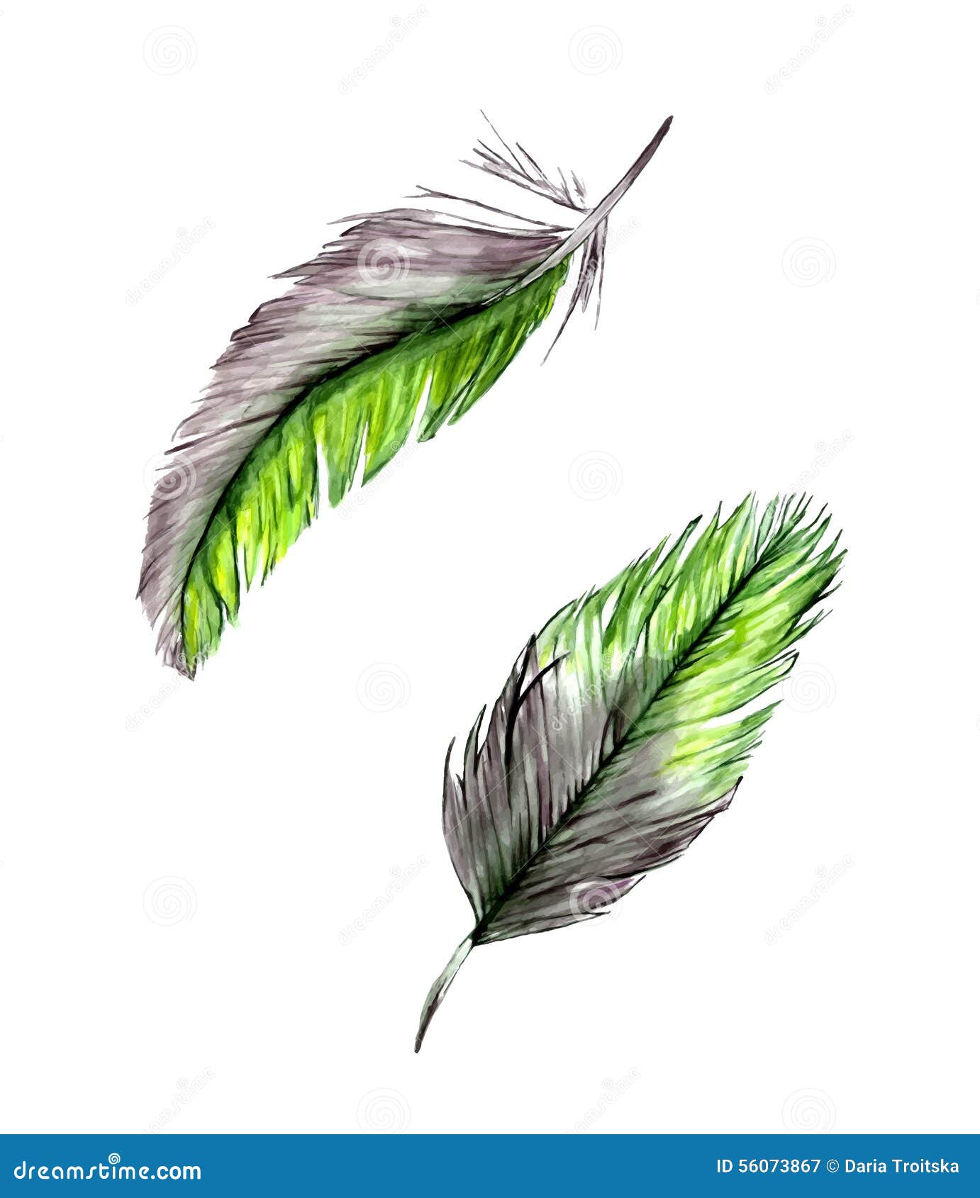 Set of Two Watercolor Feathers Stock Vector - Illustration of native ...