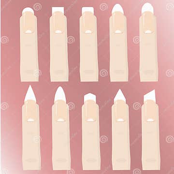 A Set of Types of Nail Forms. Procedure of Nail Extensions Stock Vector ...