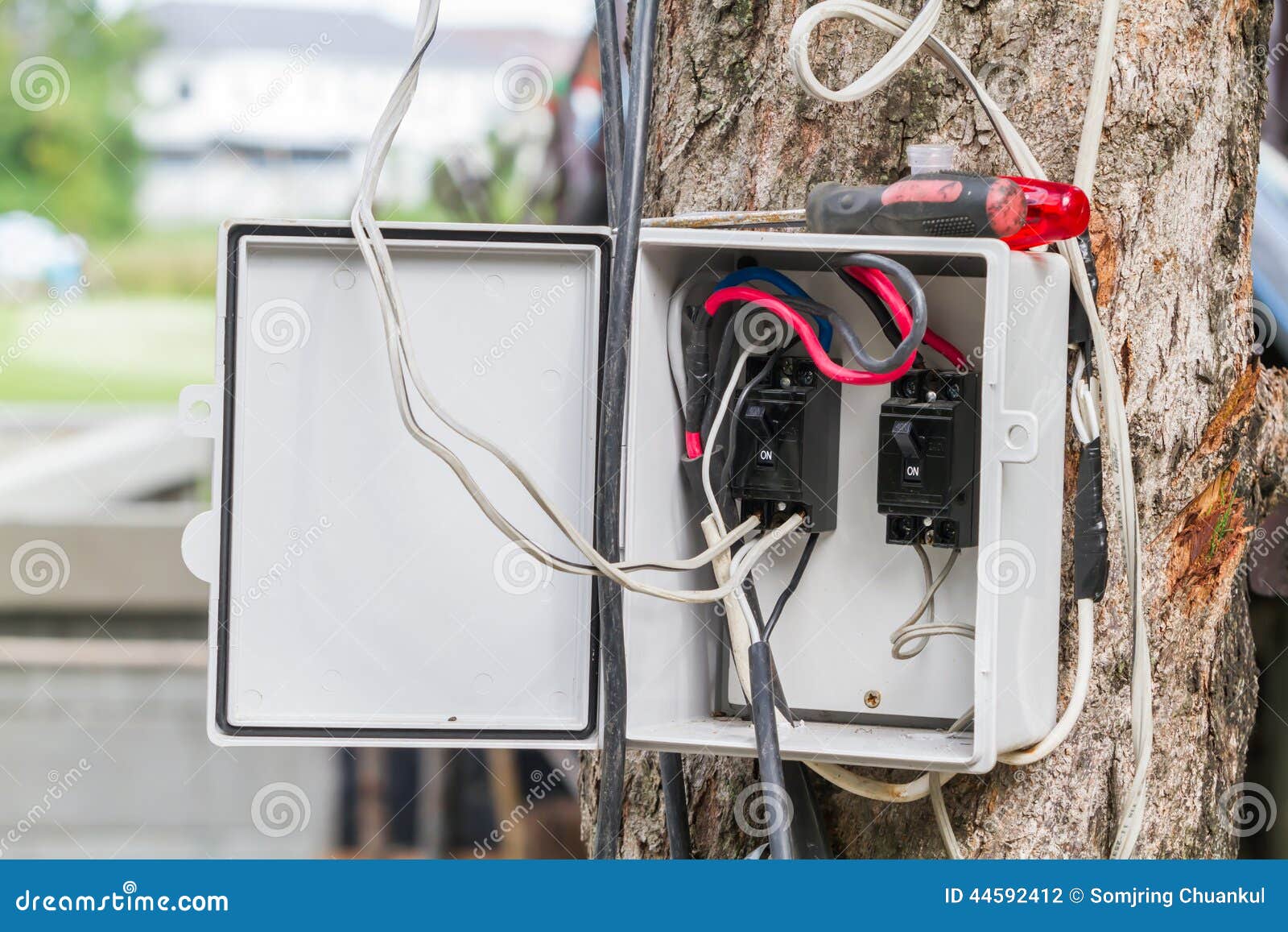 Set Up Two Switch in Box on the Tree. Stock Photo - Image of safety ...