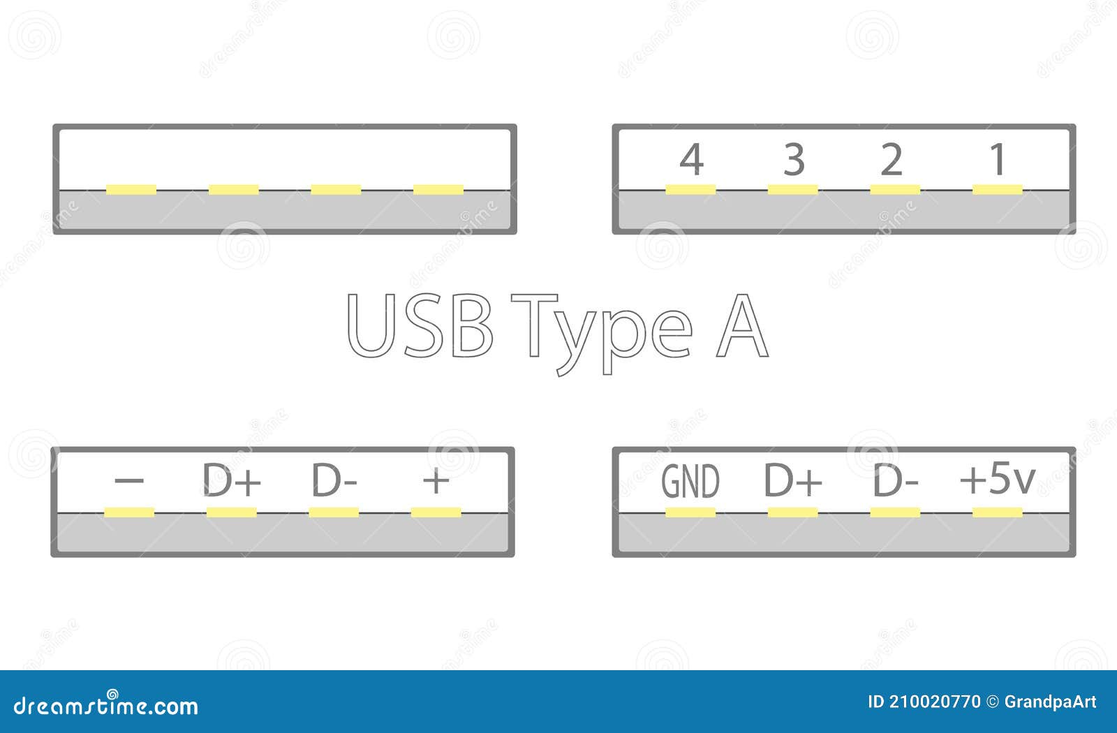 A Set of USB Connectors with Gold Pins. Signed, with Contact ...