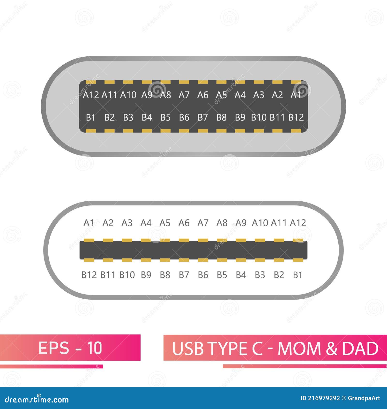 Set, USB Type C-front View of the Mother and Father Connector in a ...