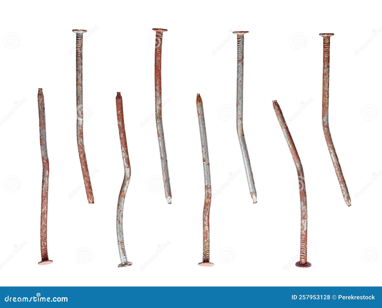Used Old Rusty Nails Isolated on White Stock Photo - Image of group ...
