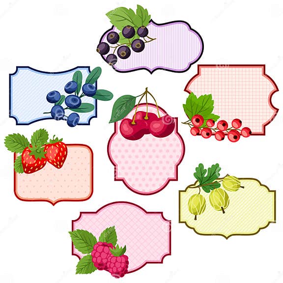 Set of Various Badges, Labels with Berries. Stock Vector - Illustration ...