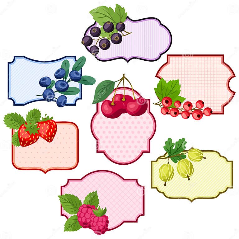 Set of Various Badges, Labels with Berries. Stock Vector - Illustration ...