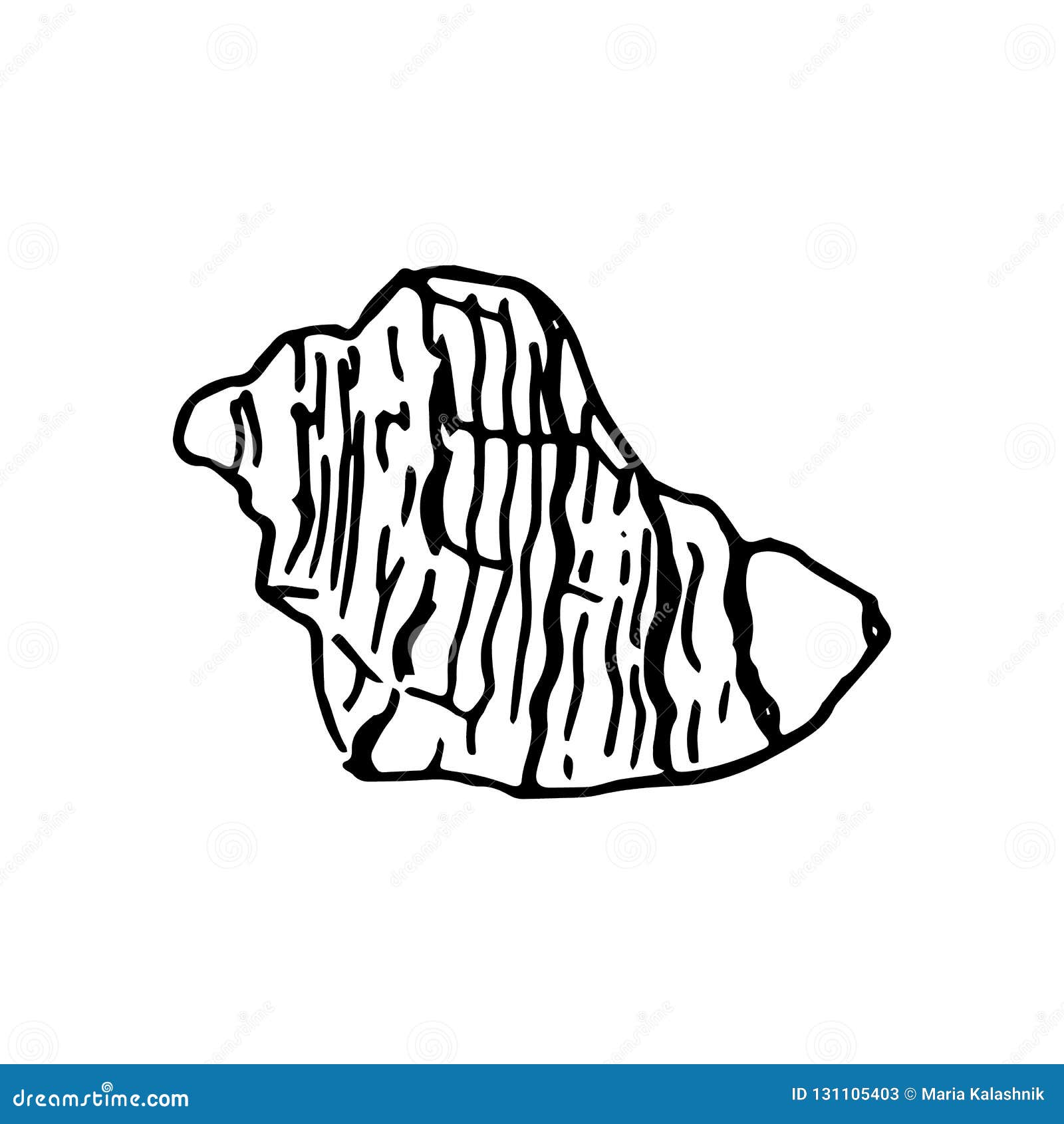 Set of Various Beautiful Mollusk Sea Shells, Sketch Illustration Stock ... Set of Various Beautiful Mollusk Sea Shells, Sketch Illustration Stock ...
