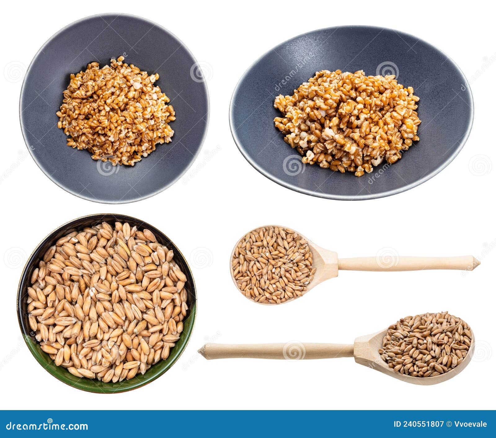 Set of Various Boiled and Raw Spelt Wheat Grains Stock Image - Image of ...