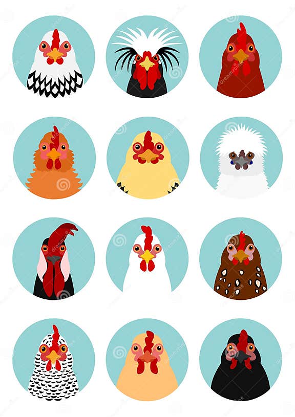 Set of Various Chicken Face Stock Vector - Illustration of chart, farm ...