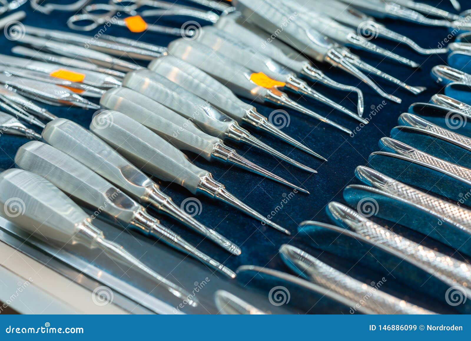 Set of Various Dental Elevators. Stock Image - Image of surgery ...