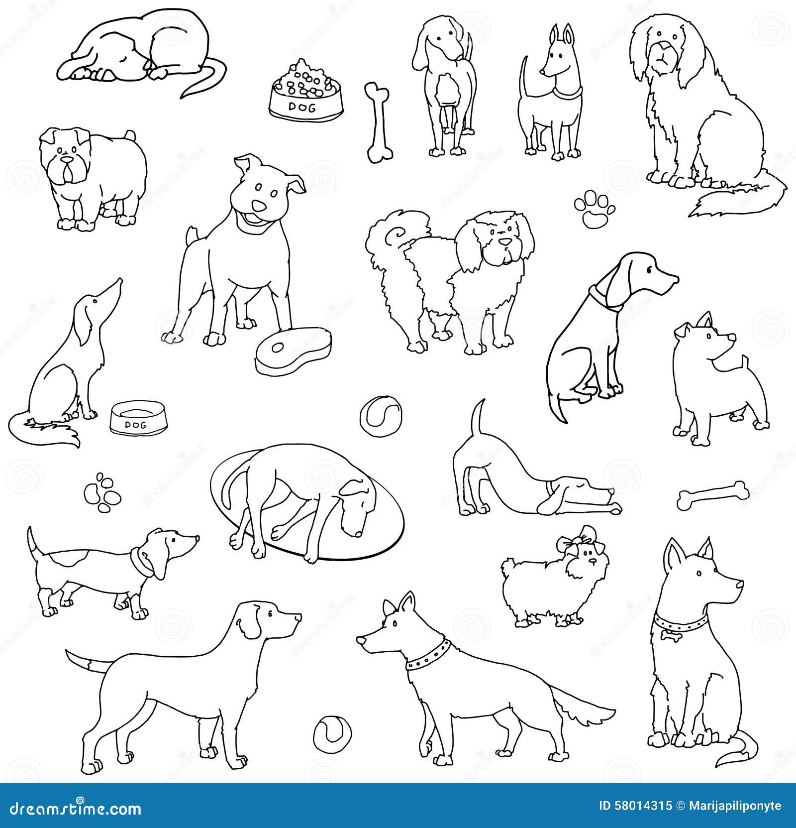 Set of various dogs stock vector. Illustration of humorous - 58014315