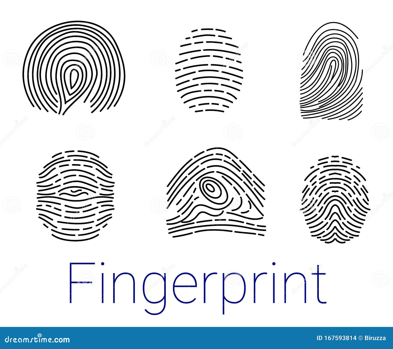 Set Of Fingerprints Of Various Types On White Background. Traces Of ...