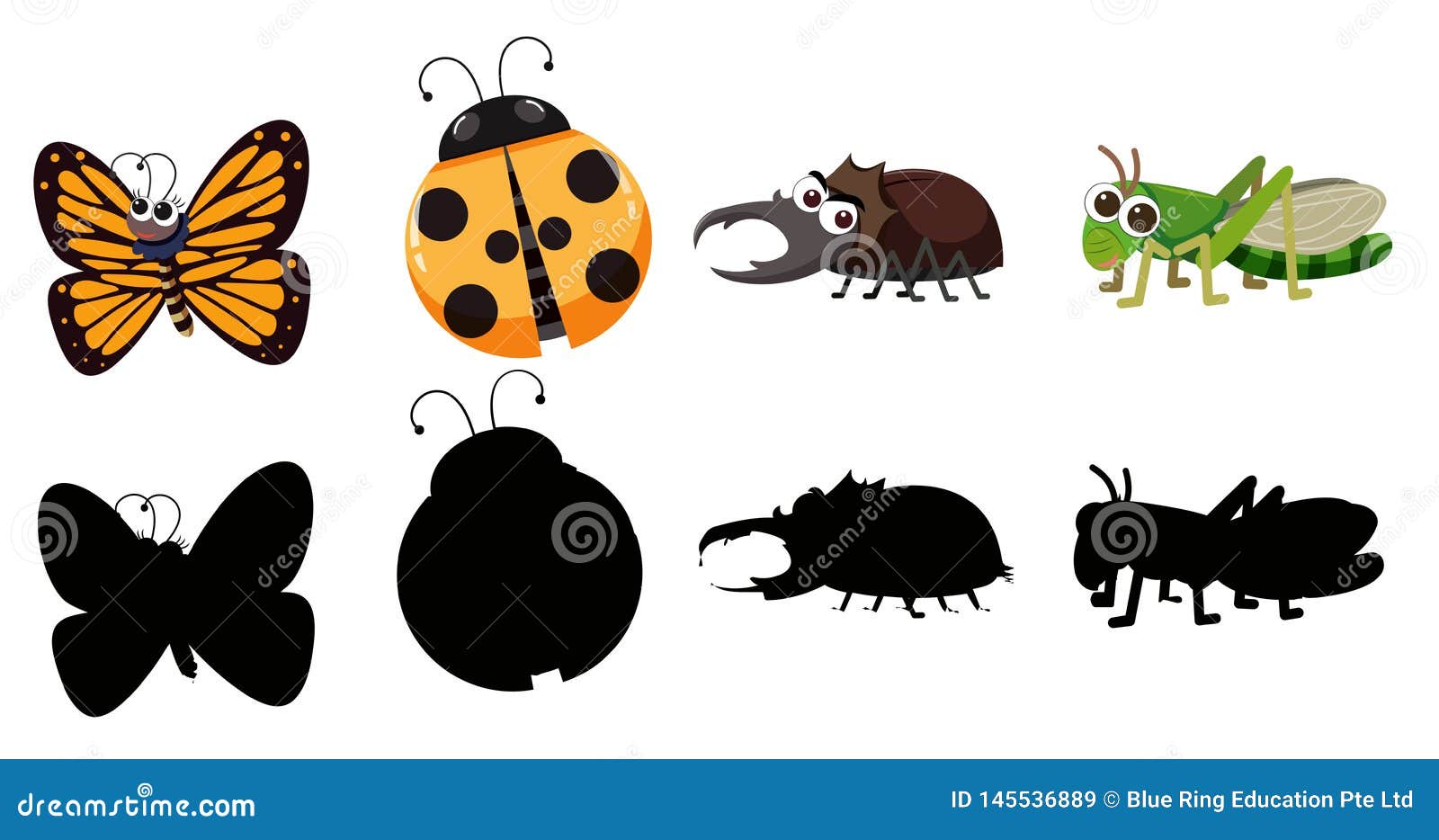 Fly, Insect, Various Poses, Movements And Foreshortenings Of Figures ...