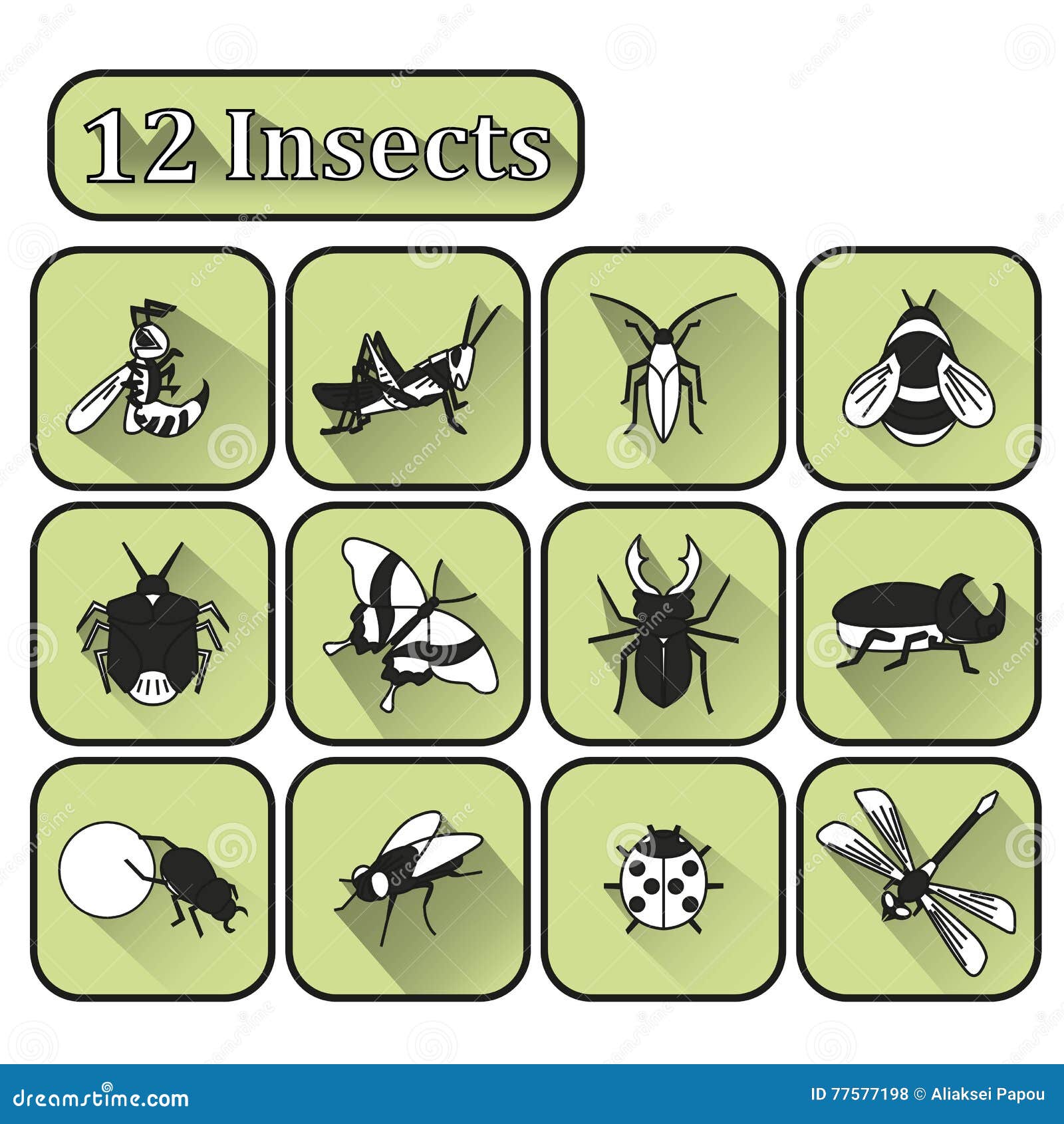 Set Of Insects Logos. Vintage Pets Labels For Bar Or Tattoo Studio ...