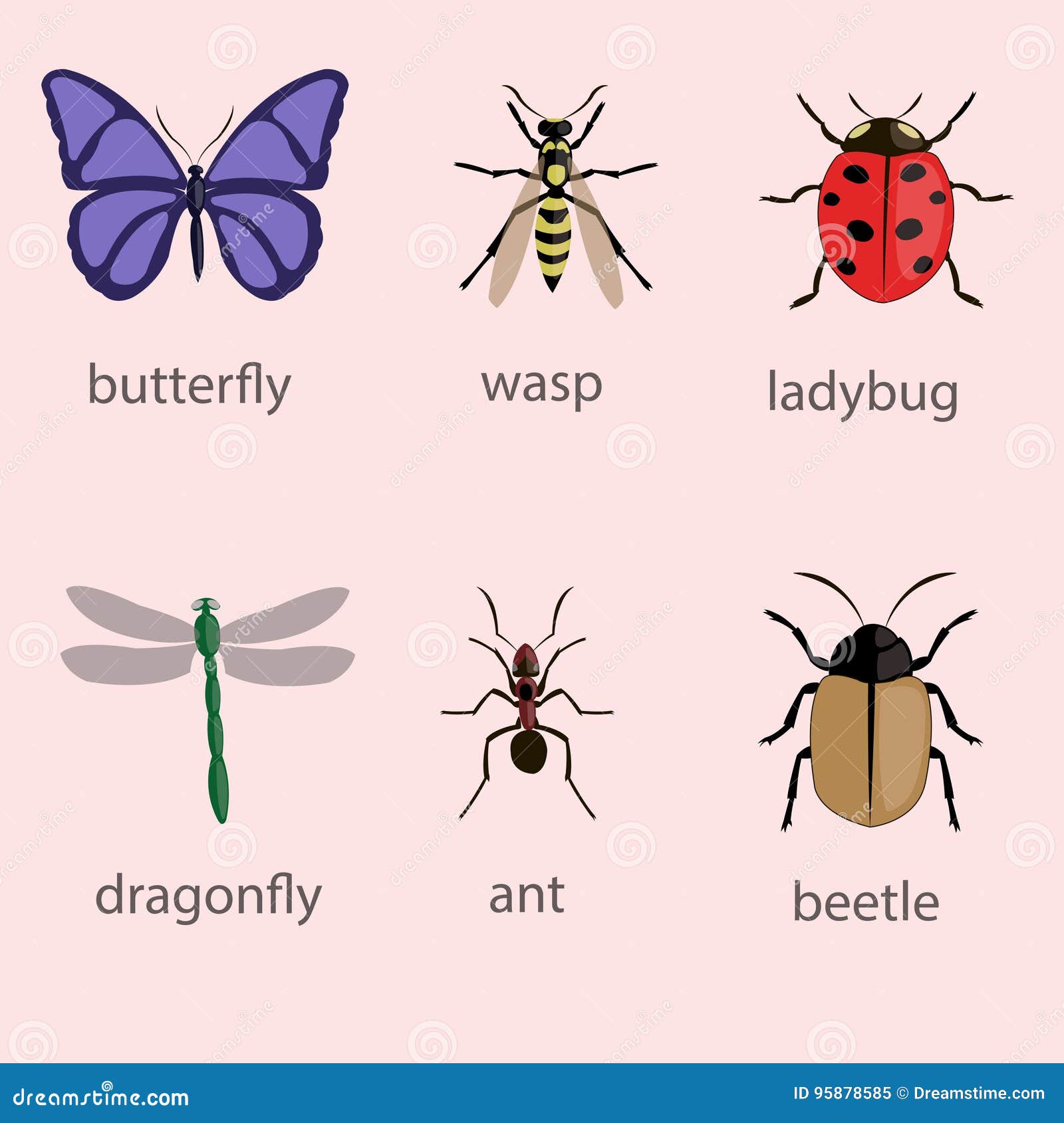 Set of Various Insects Design Flat. Stock Vector - Illustration of ...