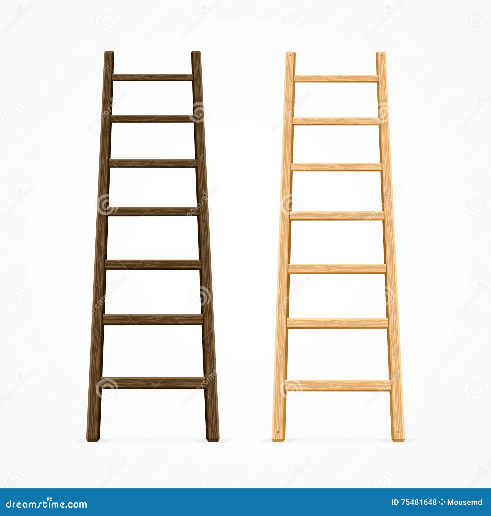 Set of Various Ladders. Vector Stock Vector - Illustration of ...