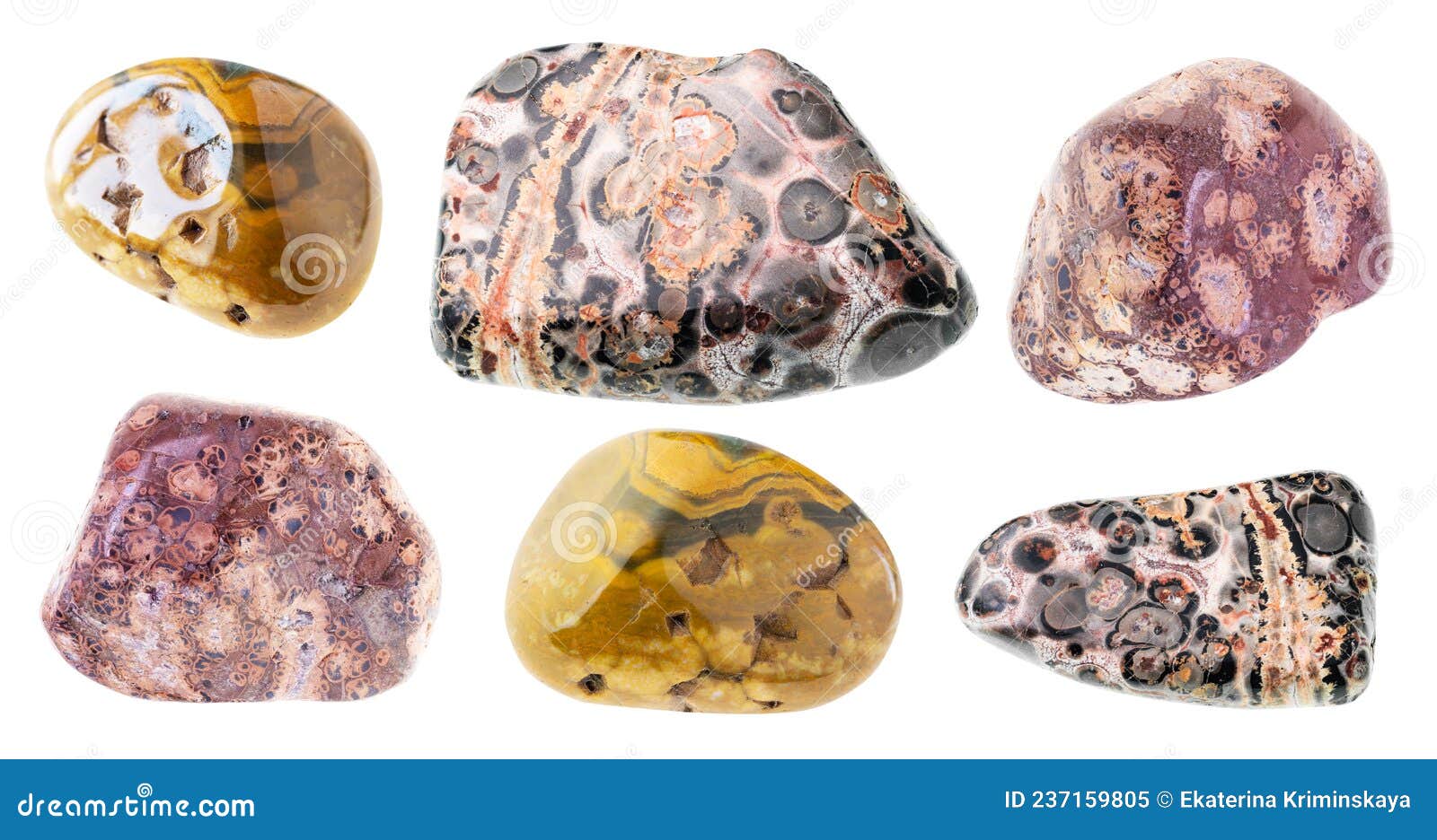 Set of Various Leopard Skin Jasper, Jaguar Stones Stock Image - Image ...