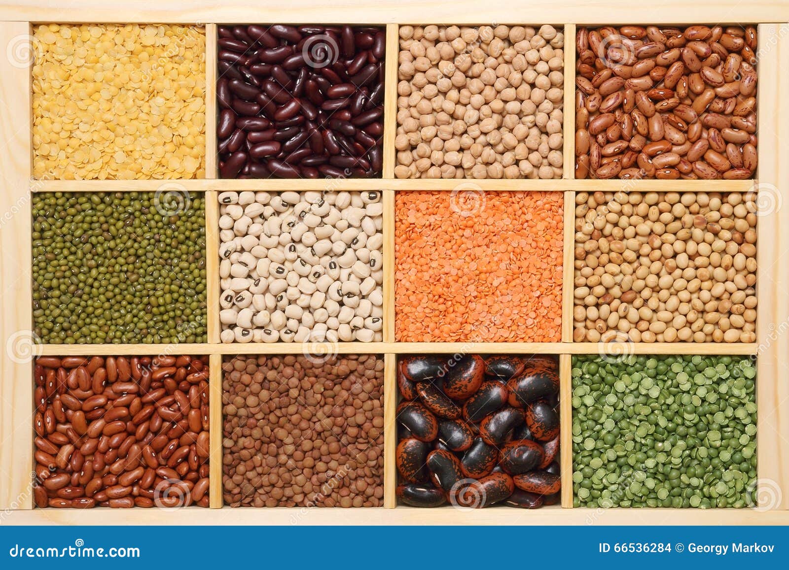 Set of various pulses stock photo. Image of horizontal - 66536284