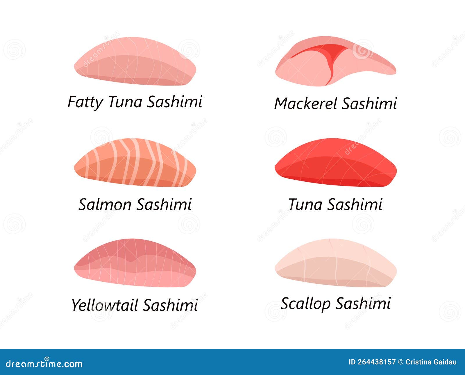 Set of Various Sashimi Slices Vector Illustration Stock Vector ...