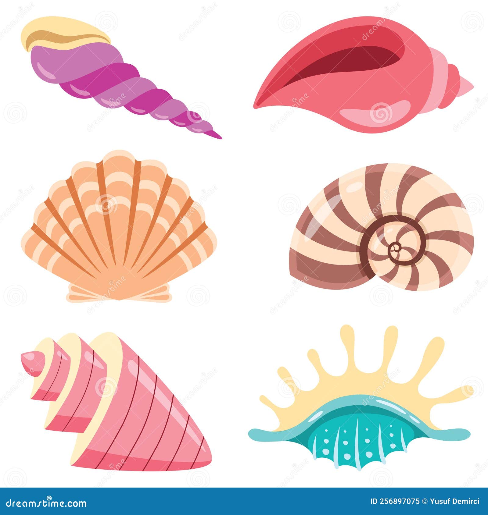 Set of Various Sea Shells stock vector. Illustration of vector - 256897075