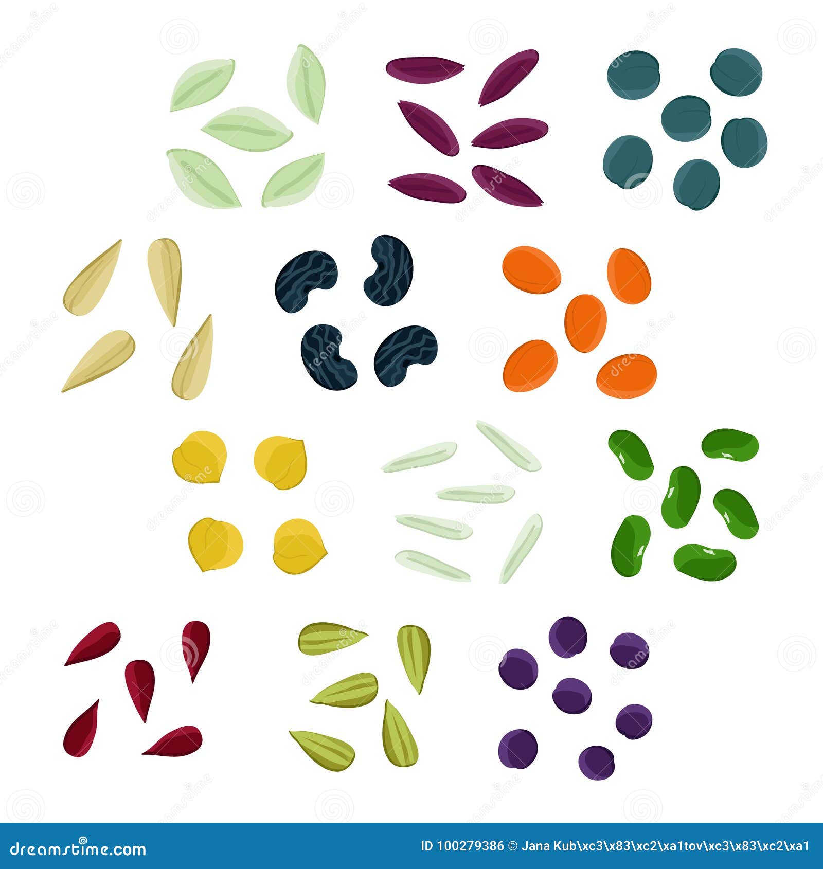 Set Of Various Seeds Cartoon Vector | CartoonDealer.com #99230199