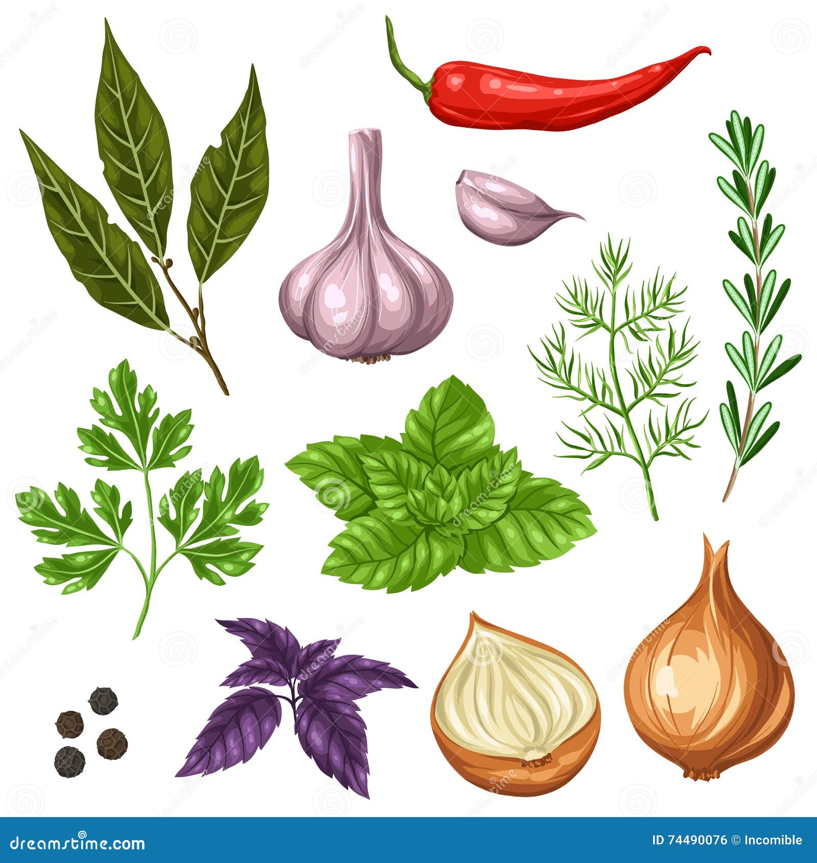 Set of Various Stylized Herbs and Spices Stock Vector - Illustration of ...