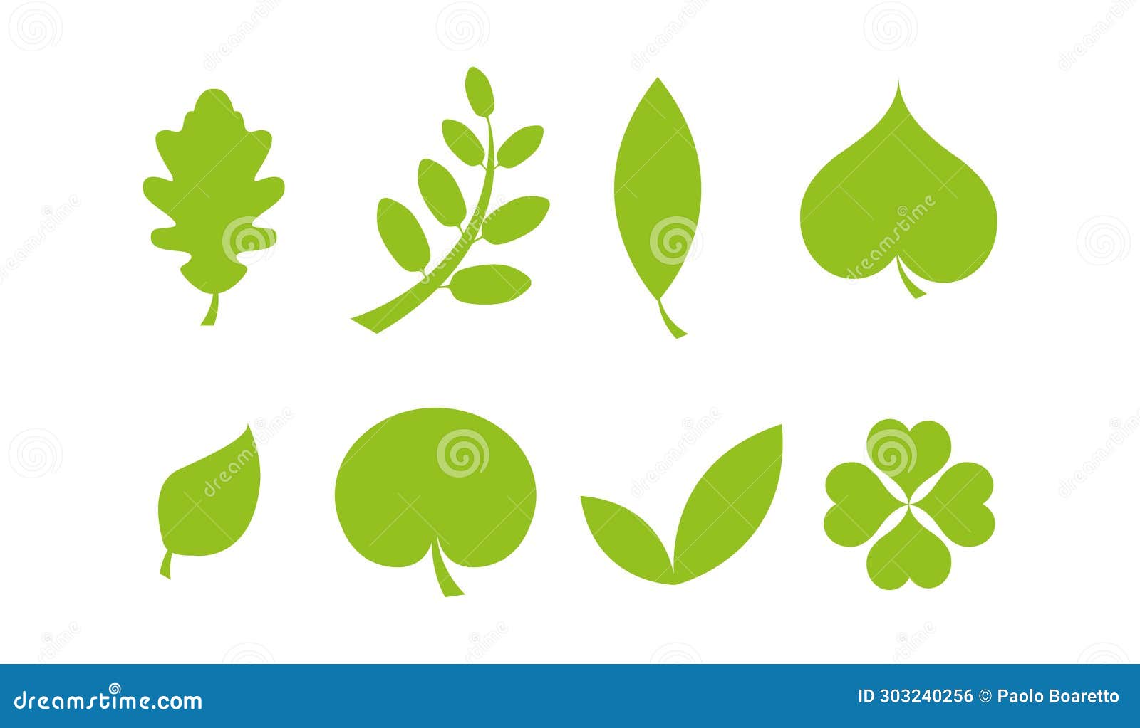Set of Various Tree Leaves. Collection of Vector Illustrations Stock ...