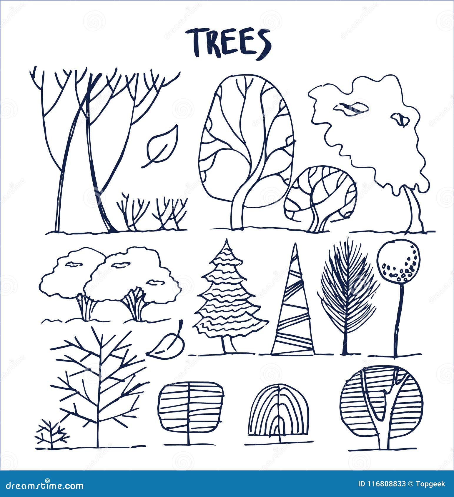Set of Various Trees Patterns Vector Illustration Stock Vector ...