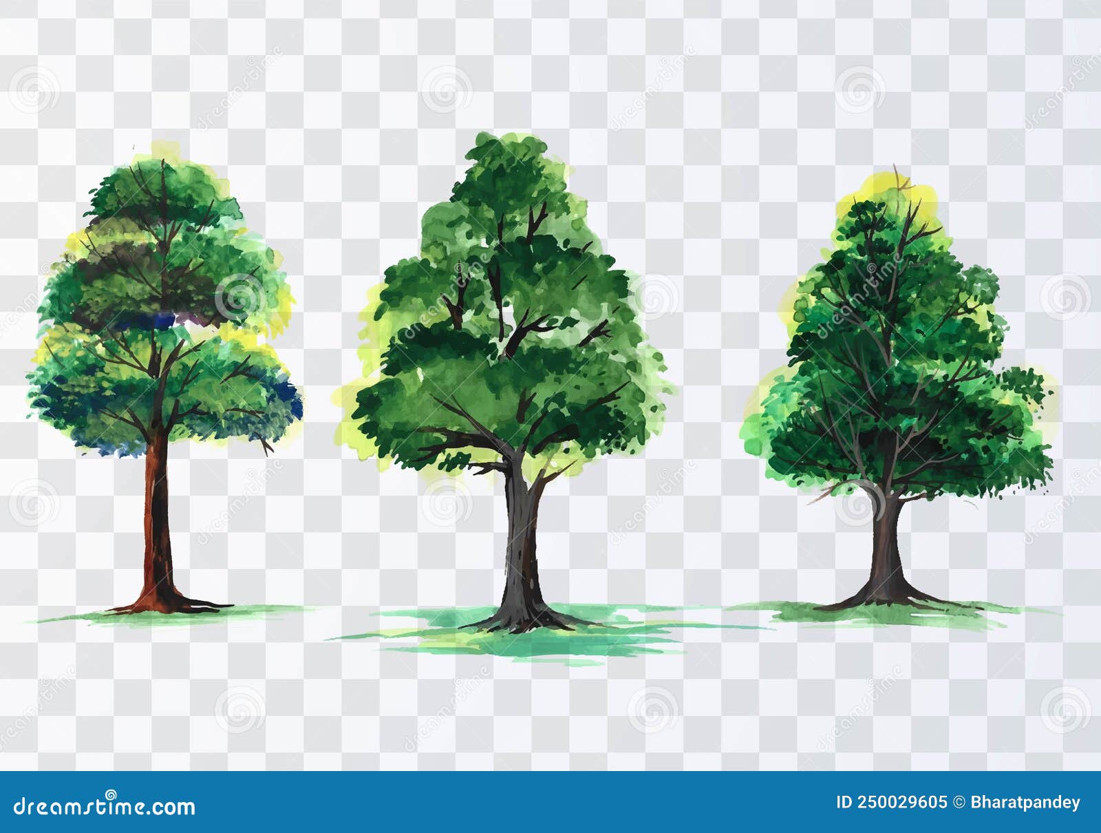 Set of Various Watercolor Trees on Transparent Background Stock Vector ...
